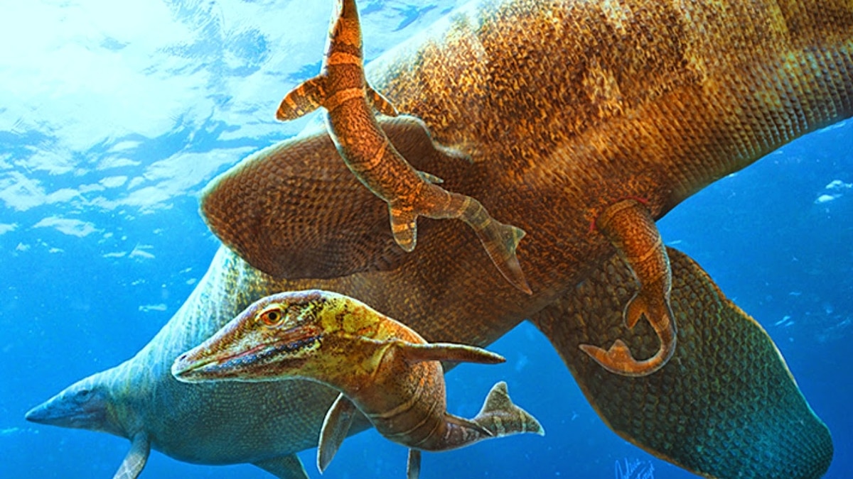 Baby Mosasaurs Were Born Out at Sea | National Geographic