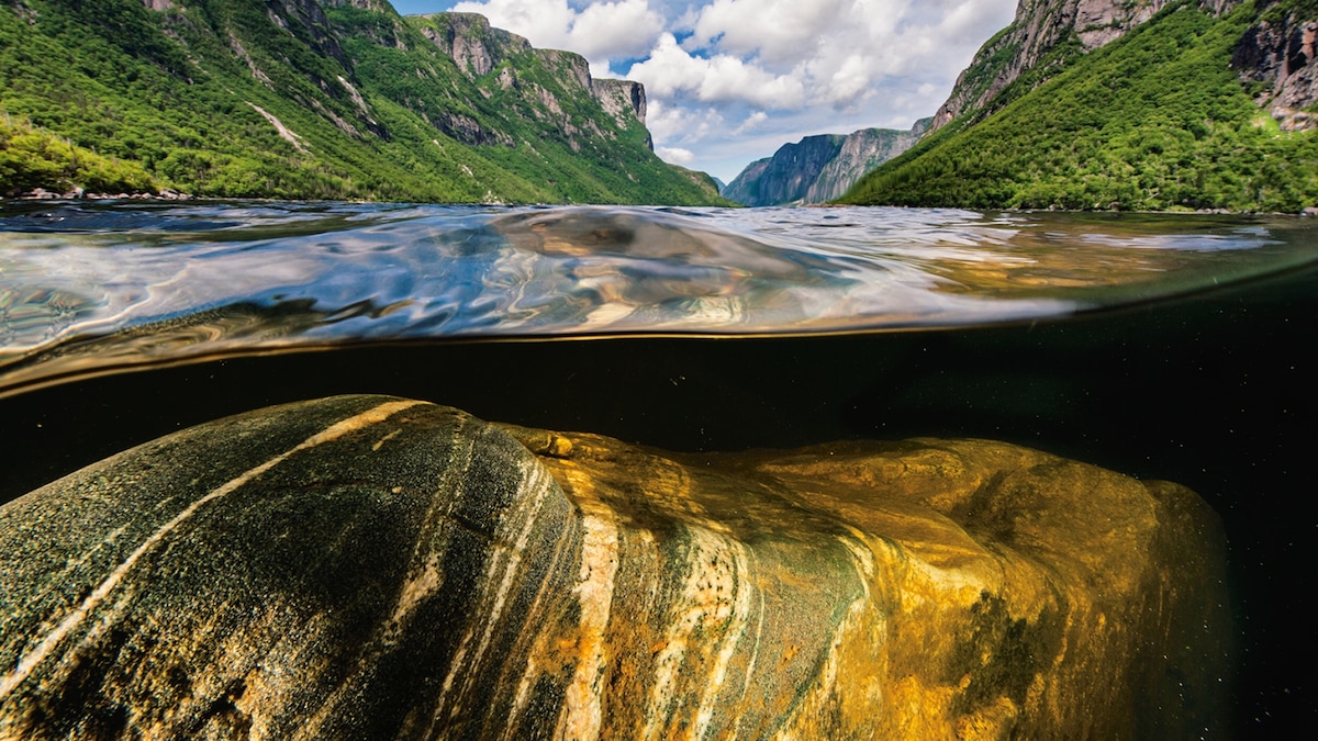 Precambrian Time Information and Prehistoric Facts | National Geographic