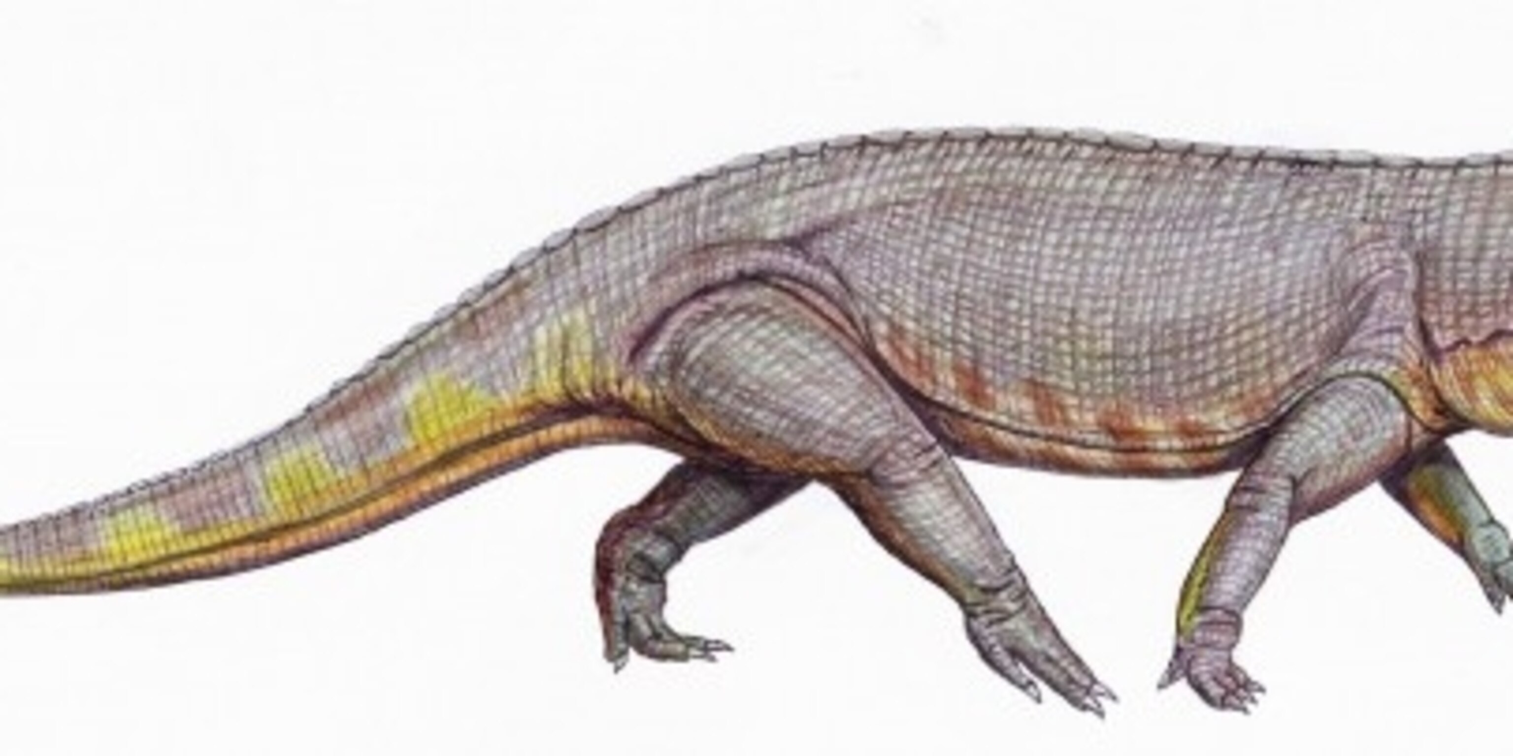 The Last Resting Place of Decuriasuchus