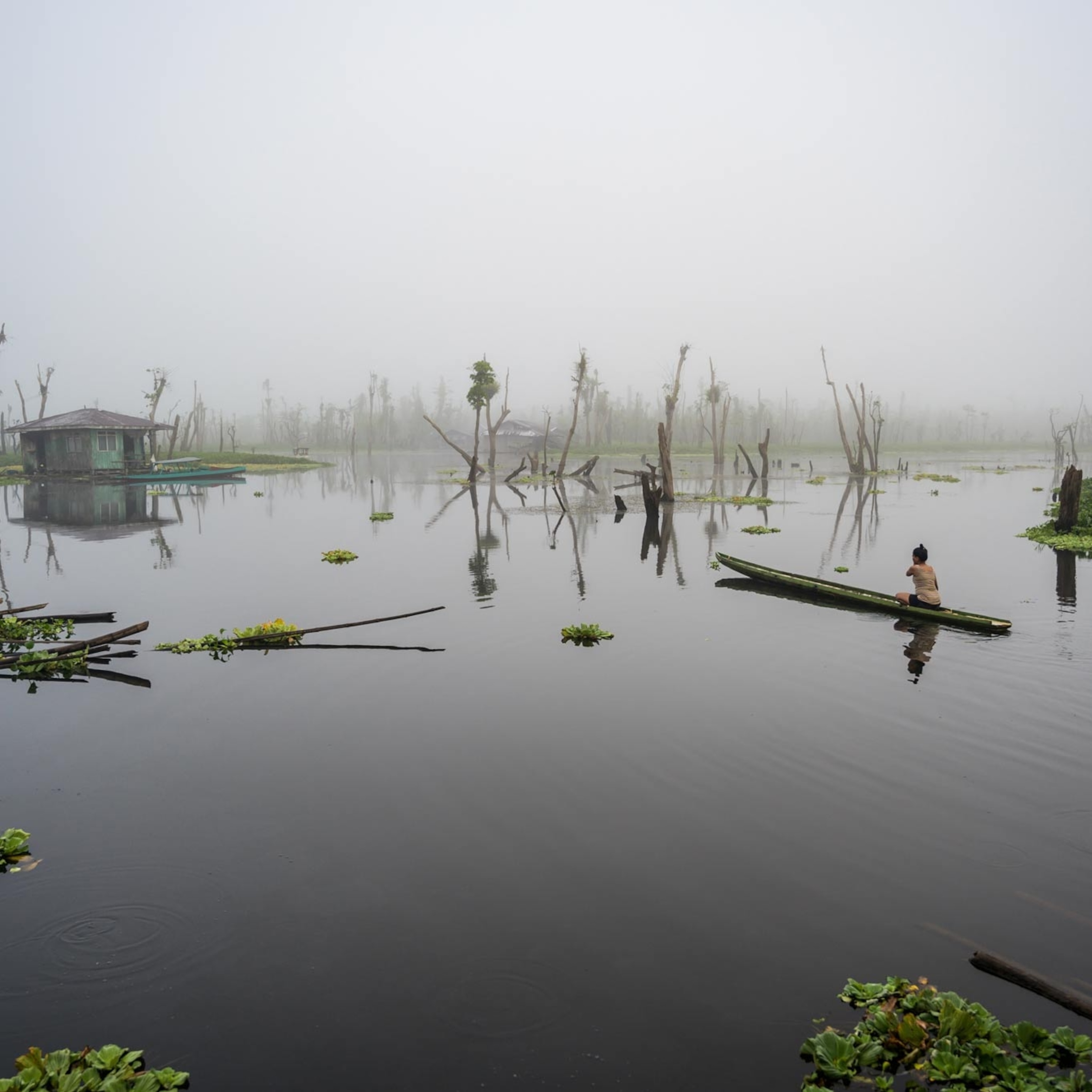What are wetlands, and why are they so critical for life on Earth?