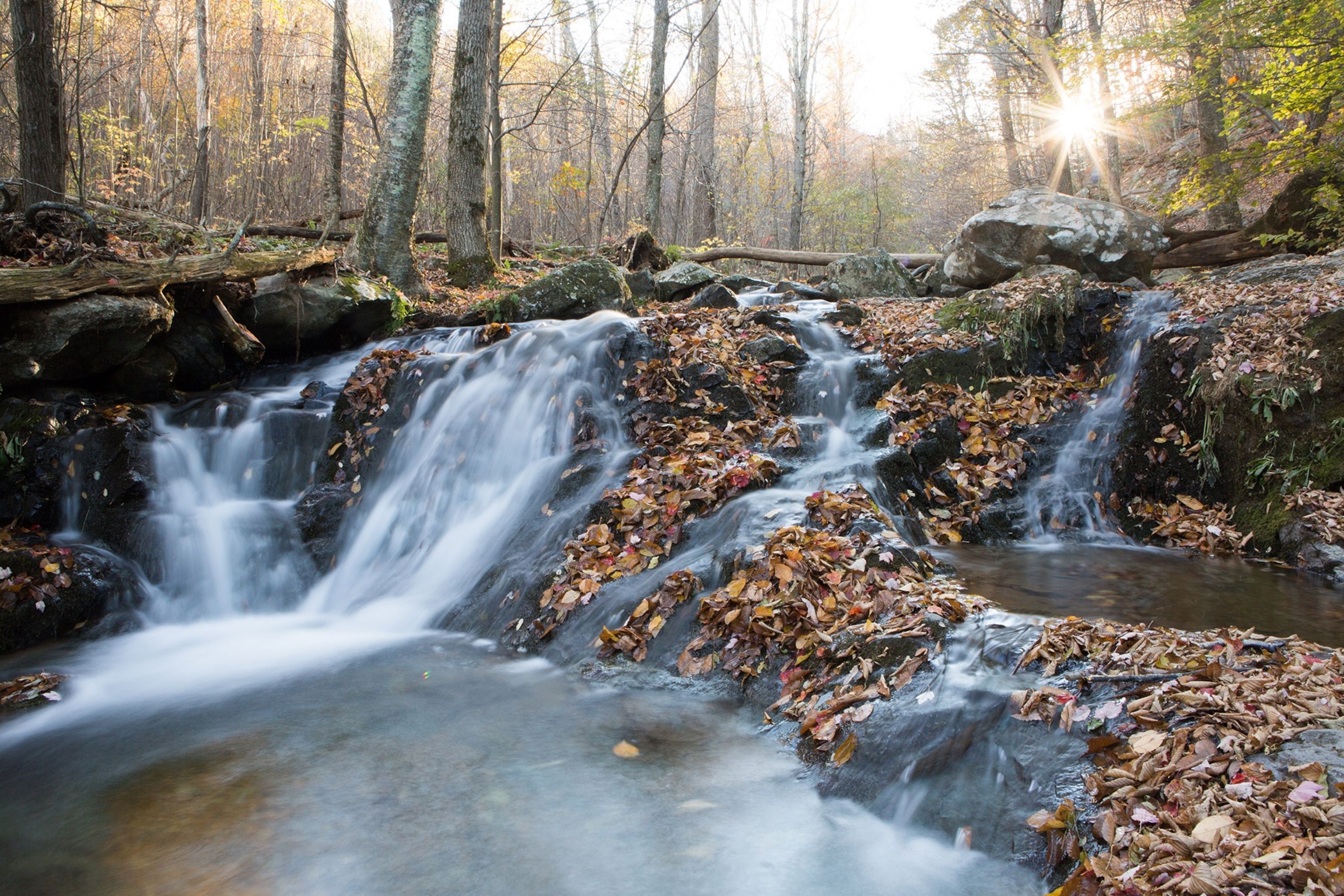 Everything to know about Shenandoah National Park