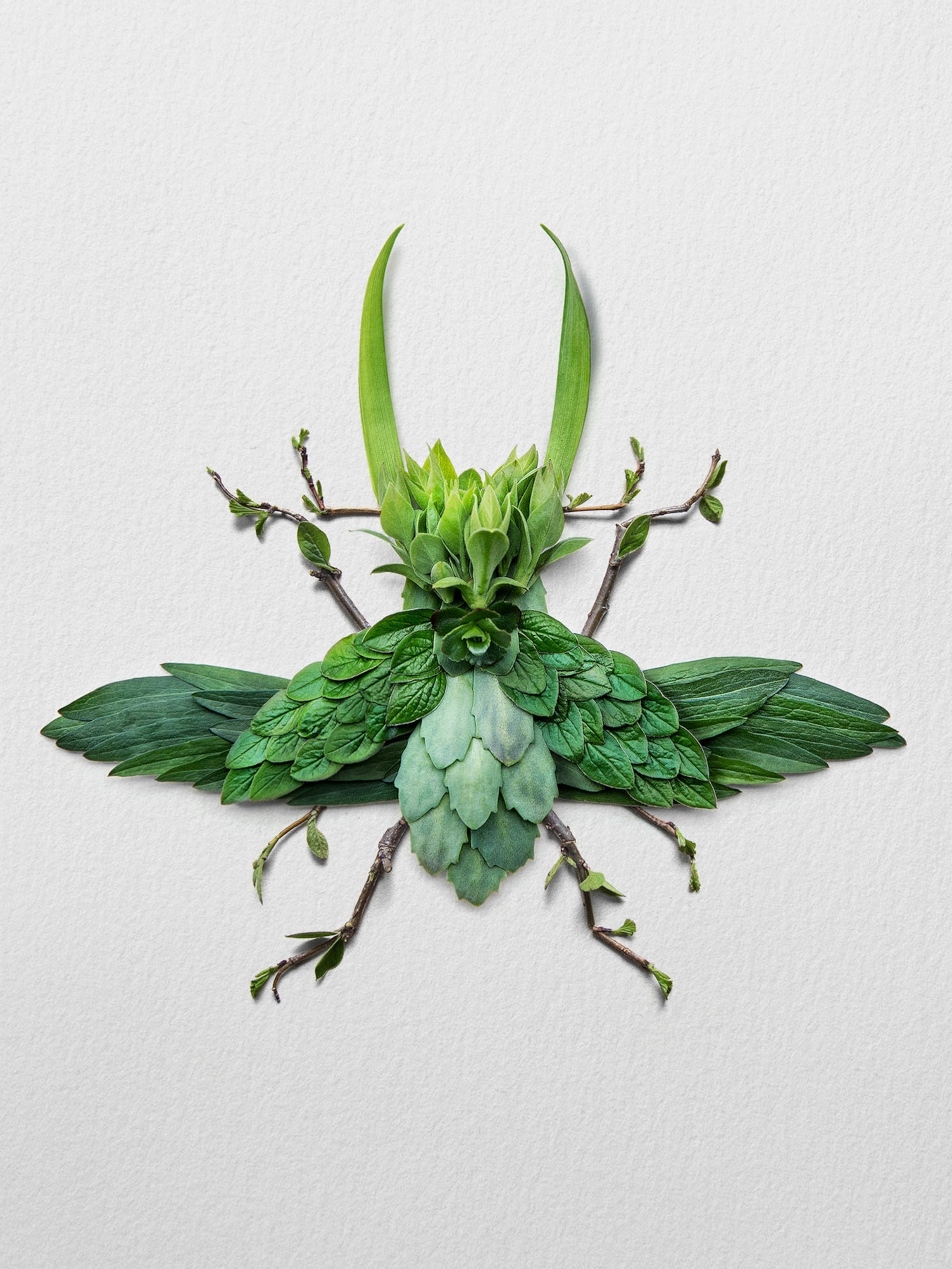 Artist Raku Inoue makes colorful insects out of plants