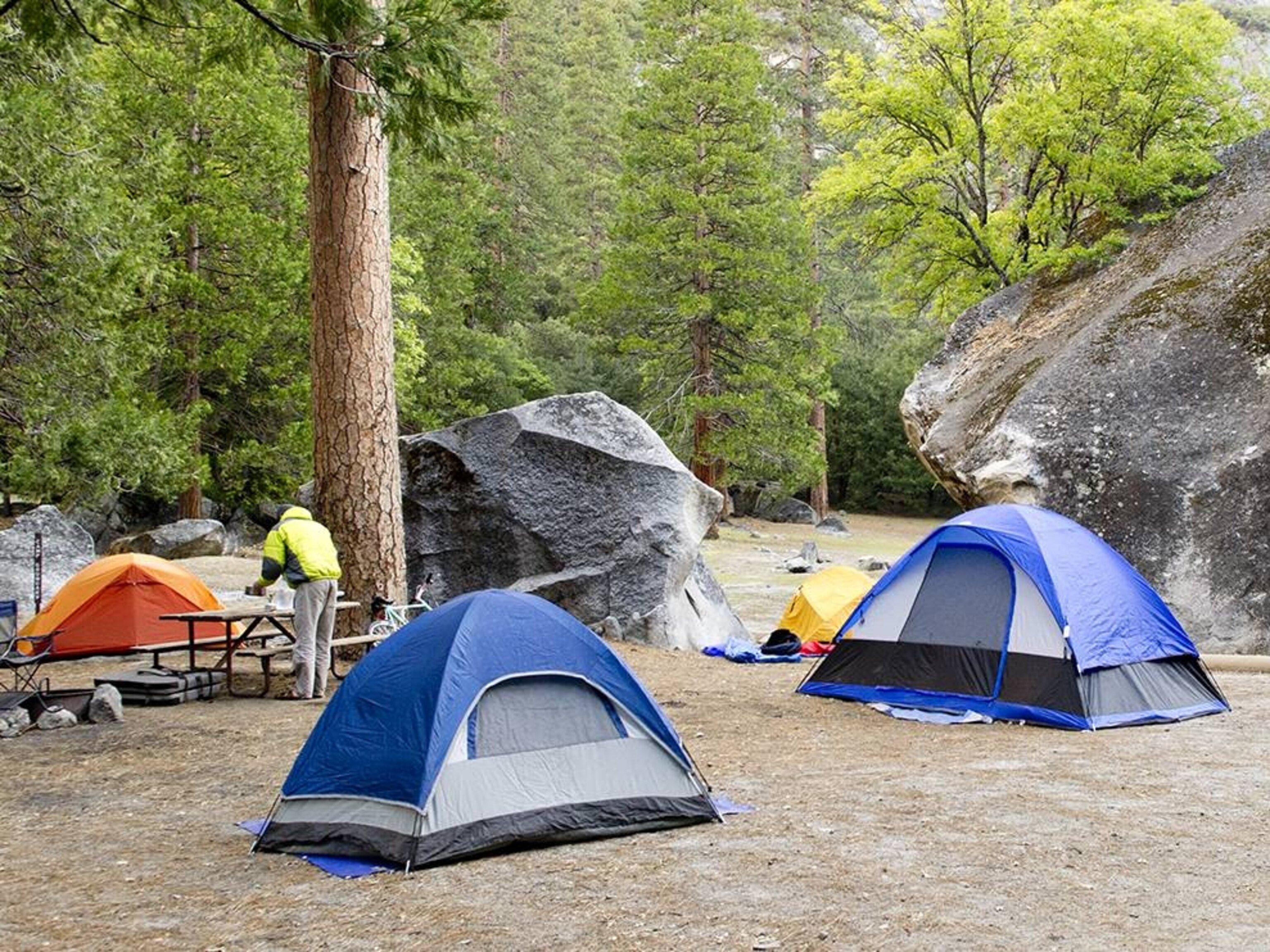 10 Best Campgrounds in the Parks