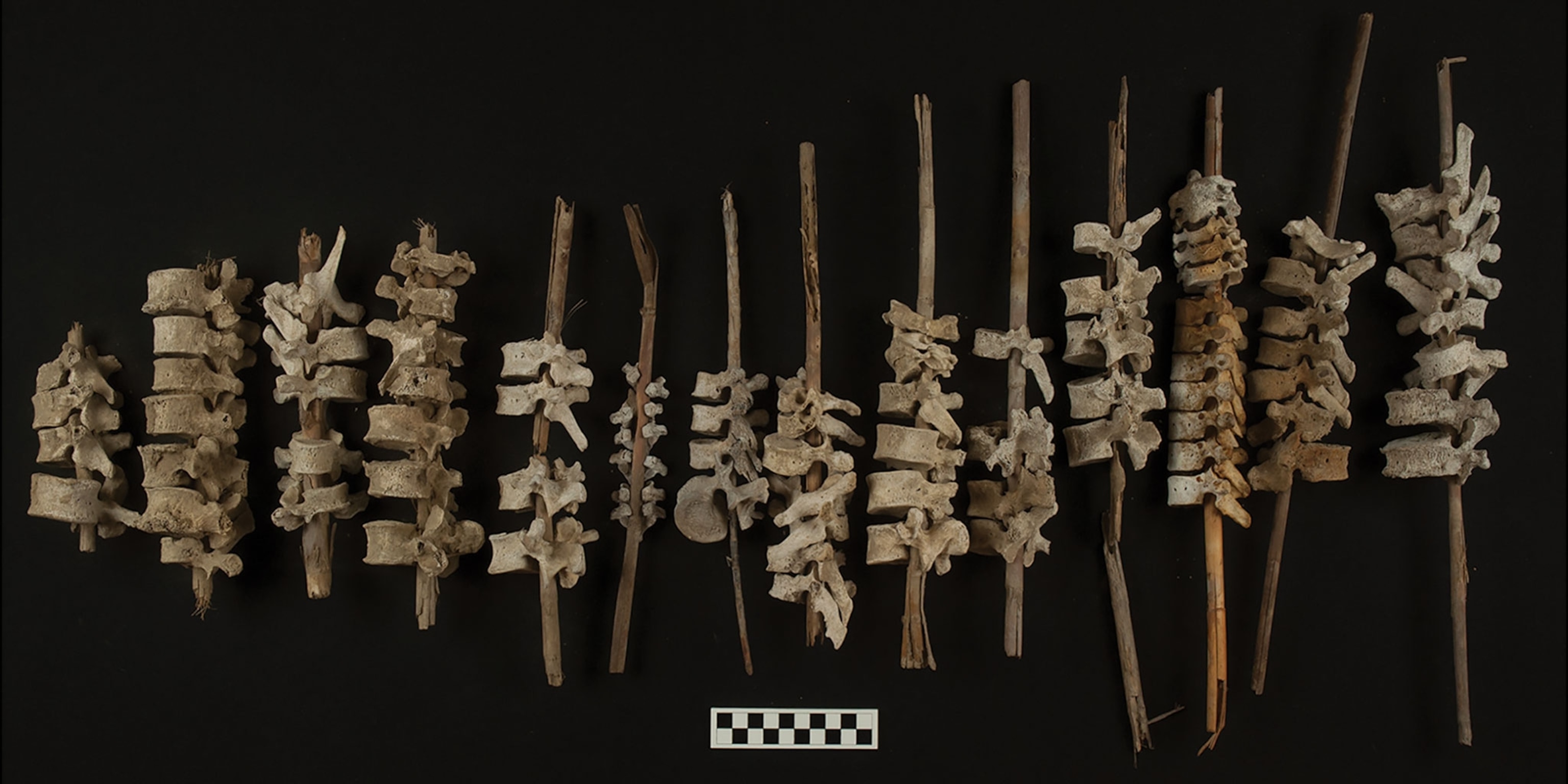 Archaeologists seek out mystery behind 500-year-old 'spines on sticks'