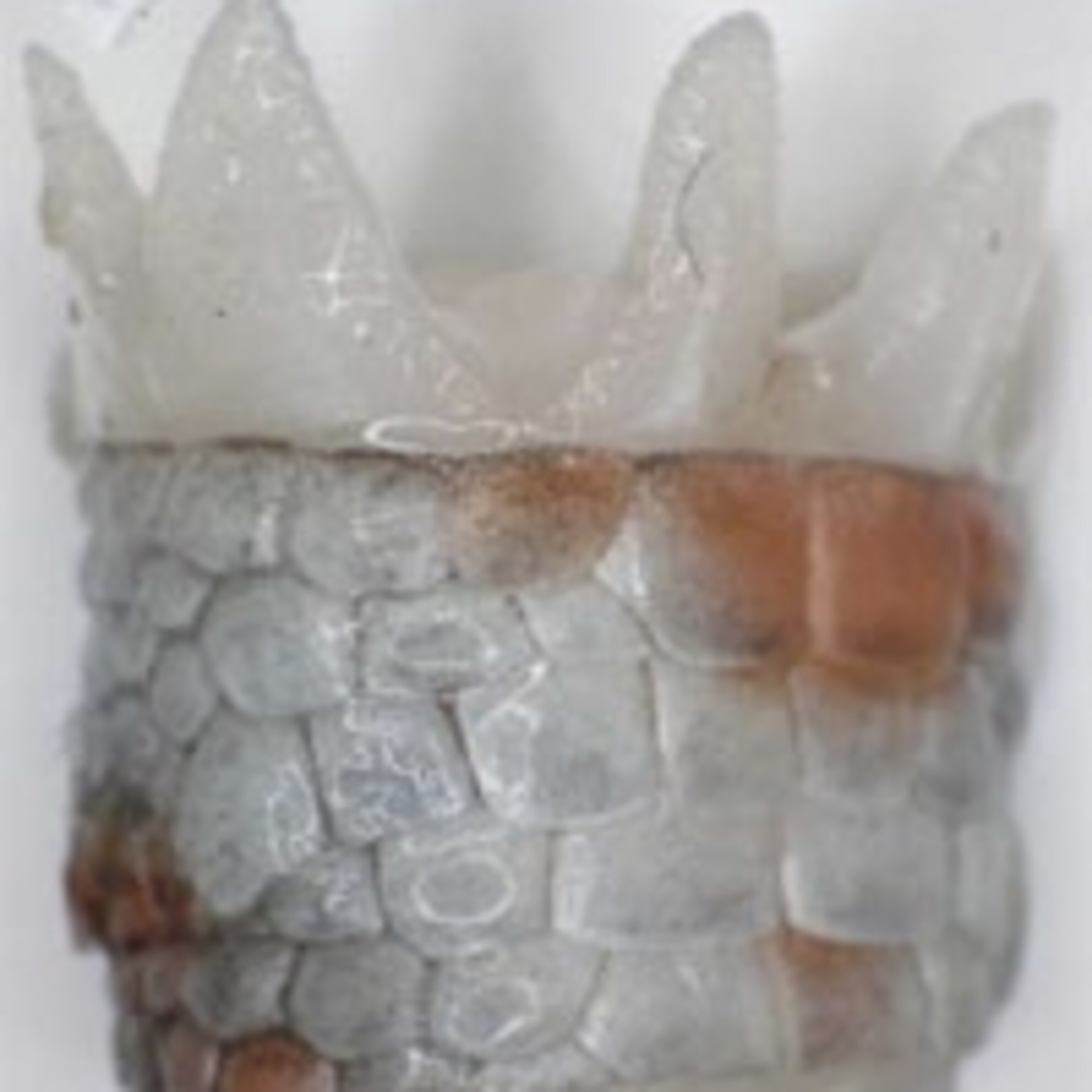 What Do Lizard Tails Have In Common With Toilet Paper?