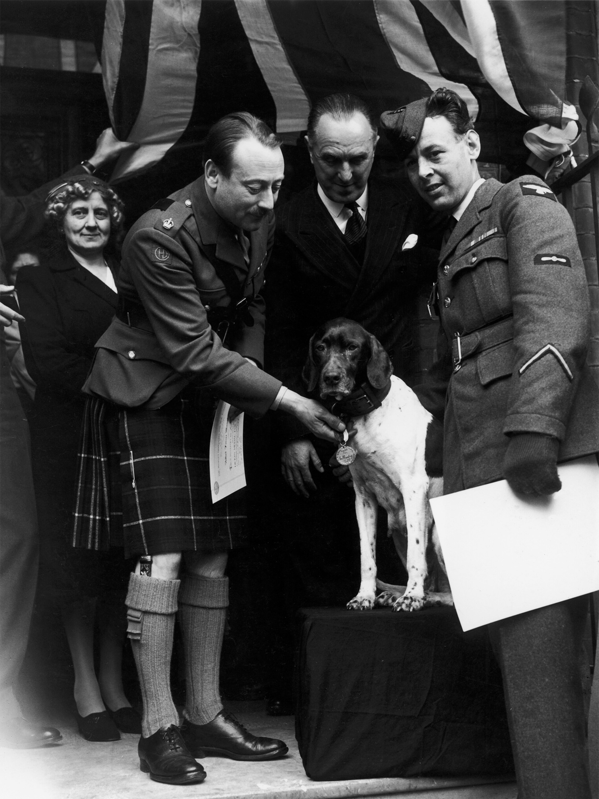 Dogs at War: Judy, Canine Prisoner of War