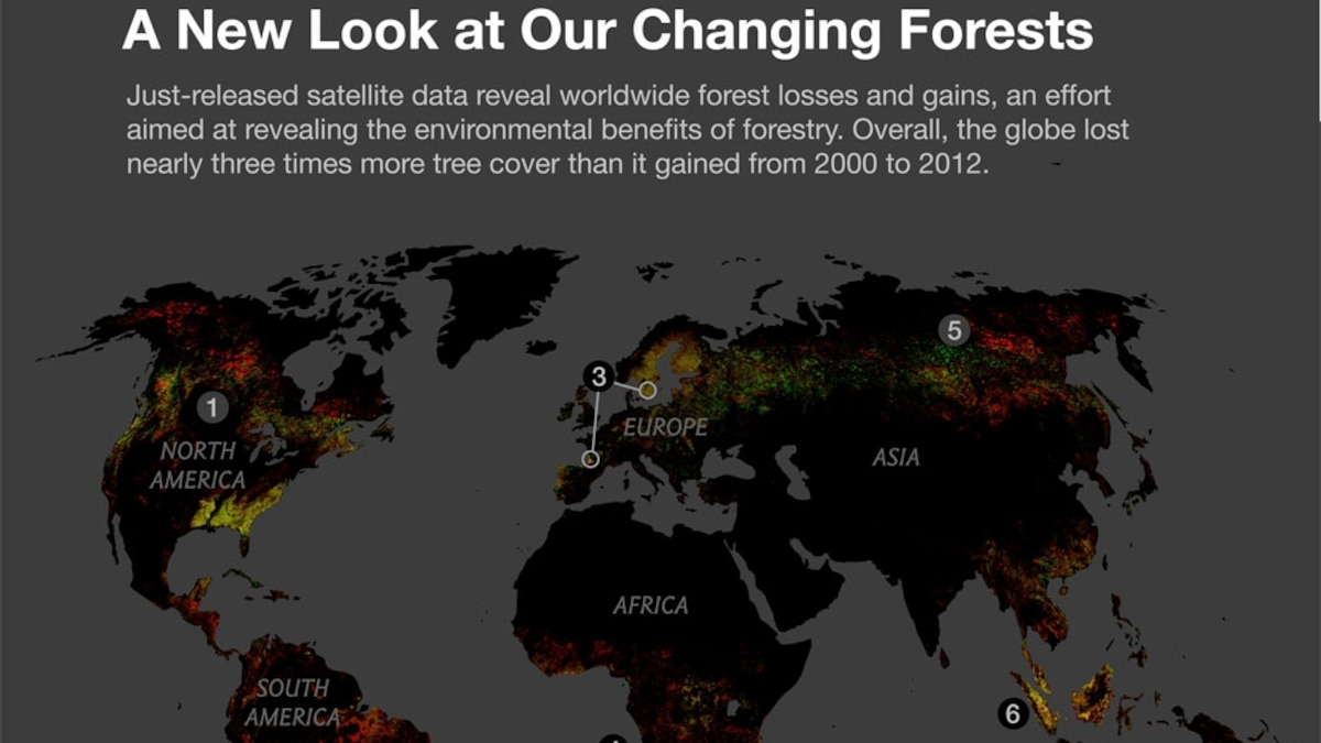 Maps From Space Show World's Disappearing Forests | National Geographic