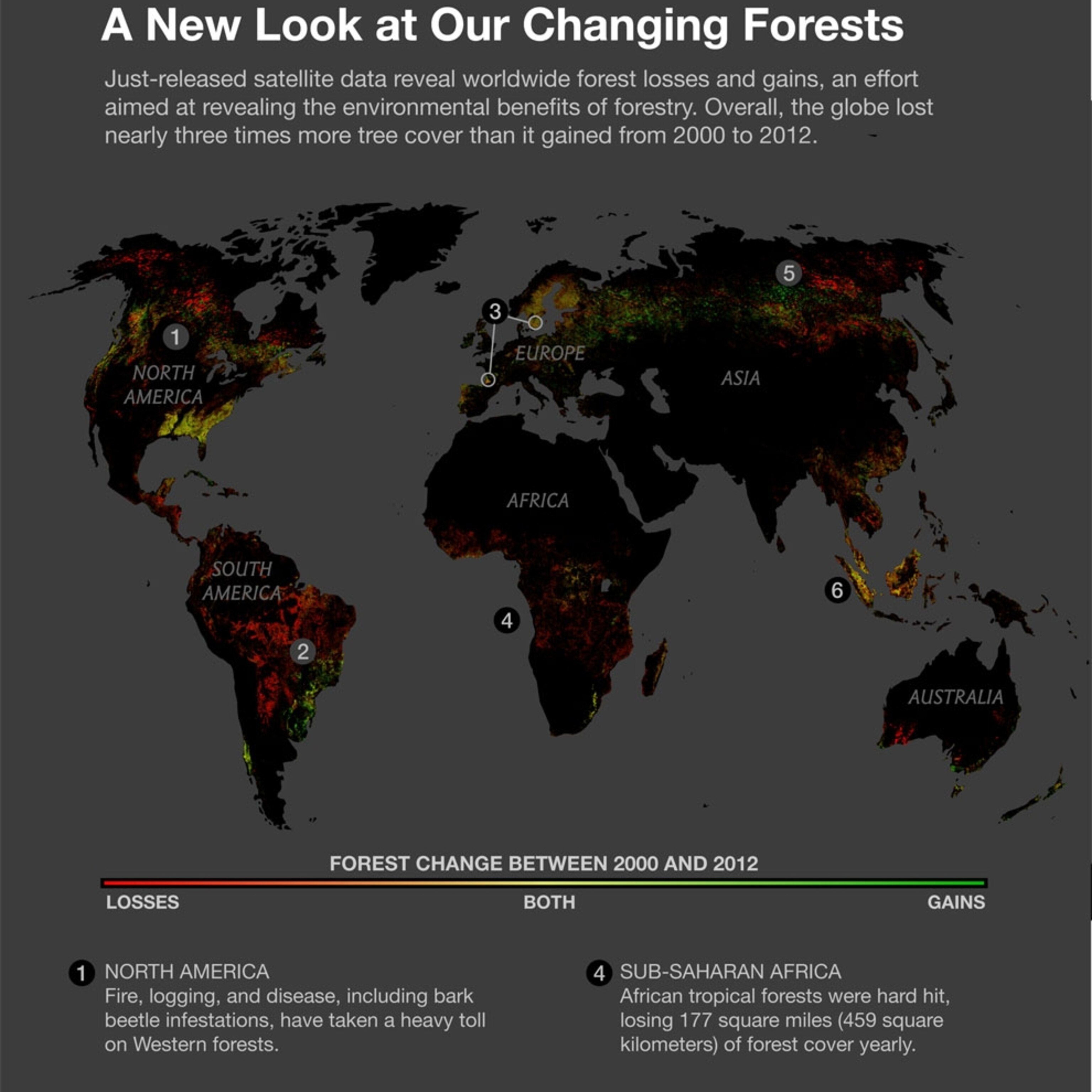 This Scary Nasa Map Shows How The Worlds Forests Are