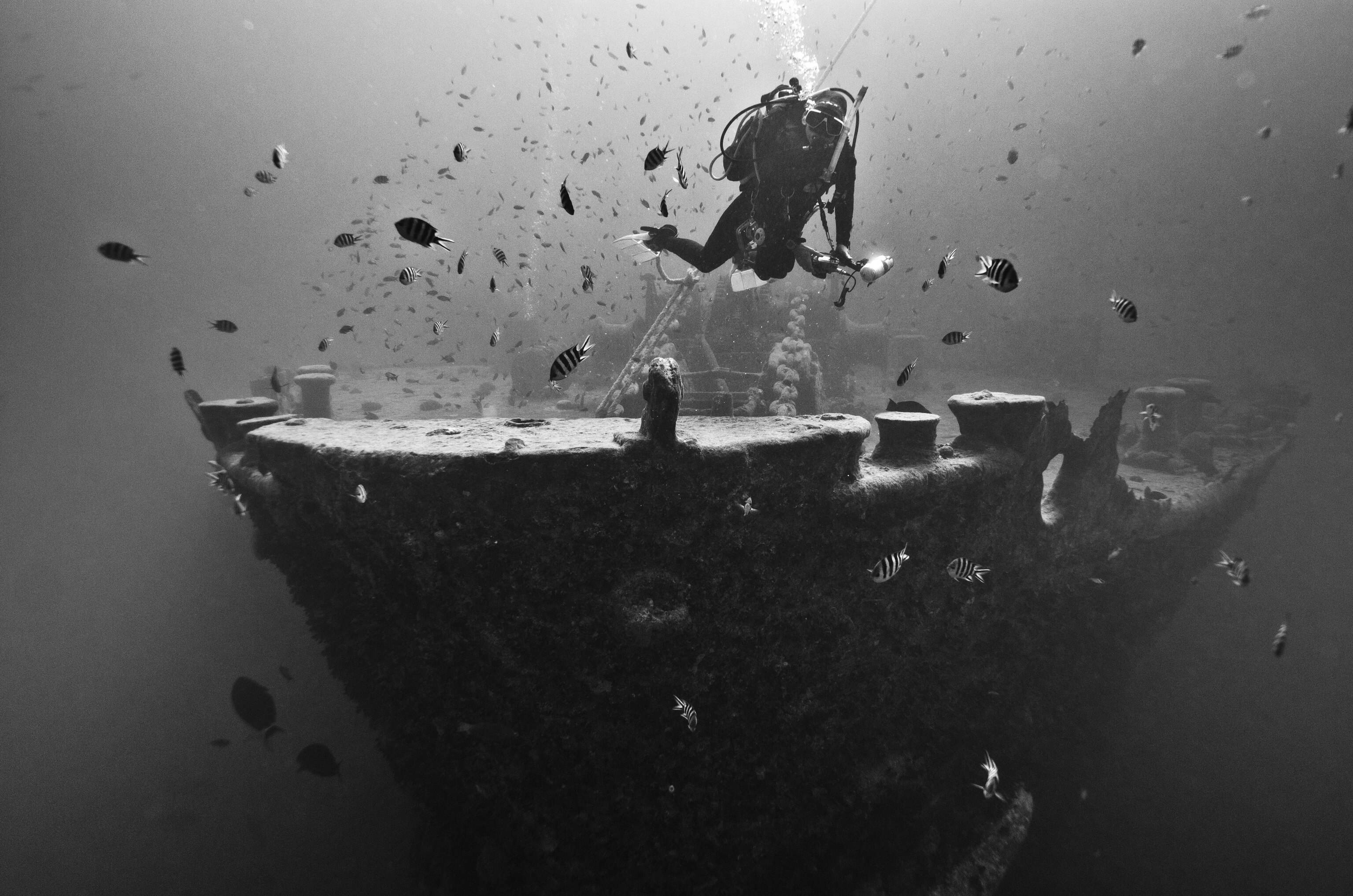 Your Underwater Adventure Photos | National Geographic