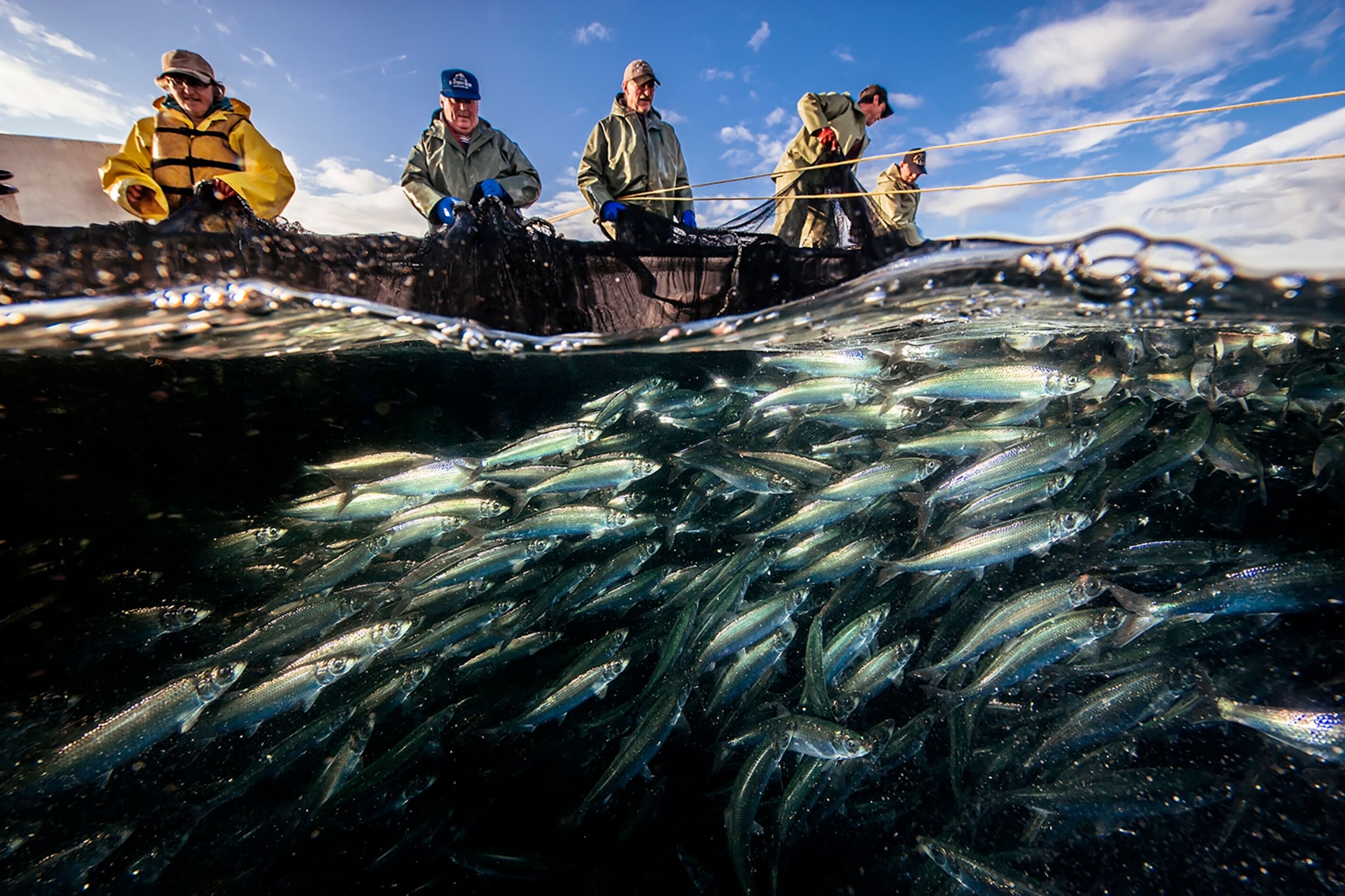 These Striking Photos Show Two Worlds in One, Above and Below the Water