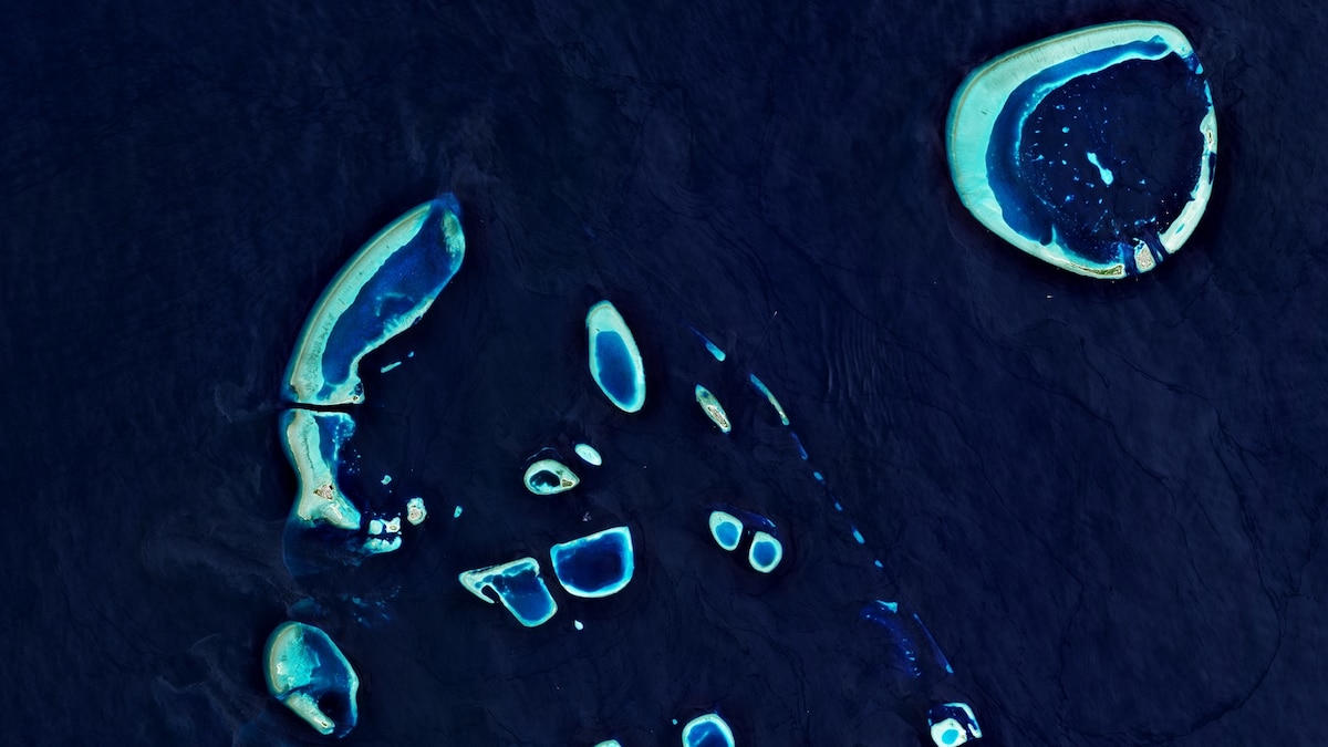 Microplastics have moved into virtually every crevice on Earth ...