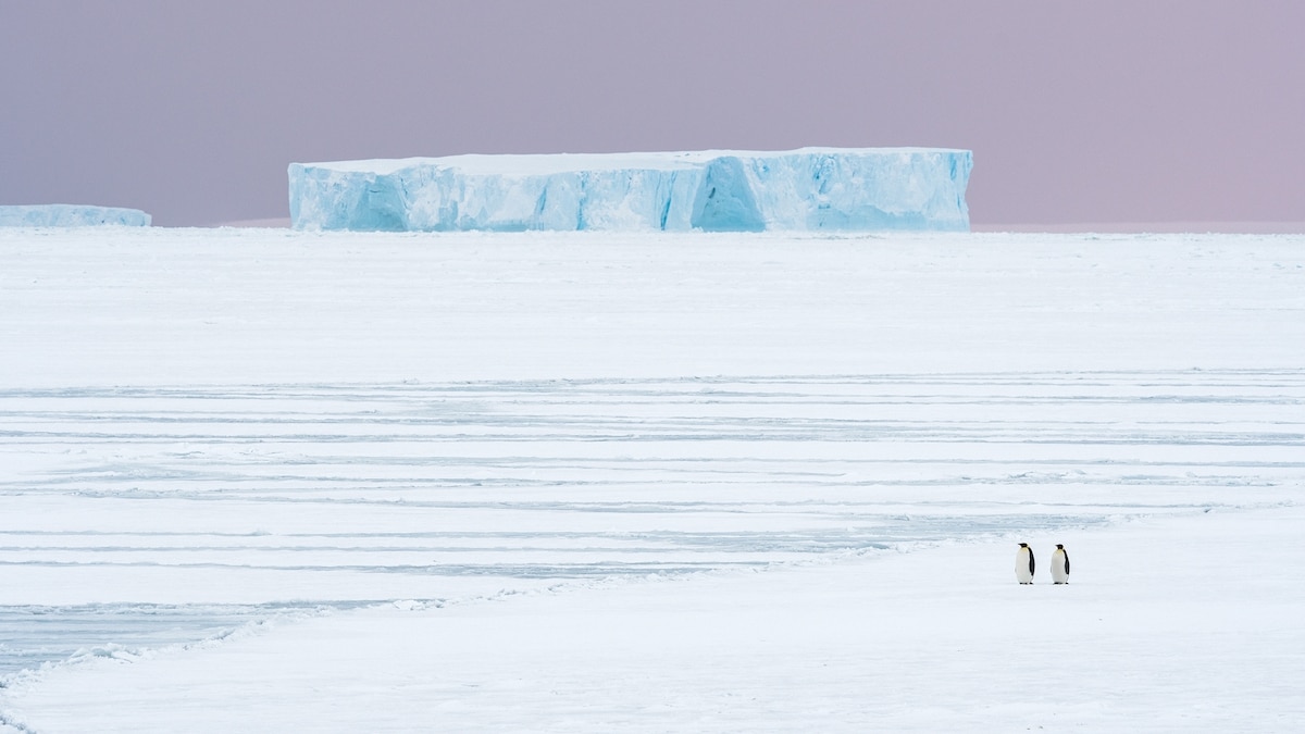 Nat Geo's best photos from spring capture turmoil—and moments of grace ...