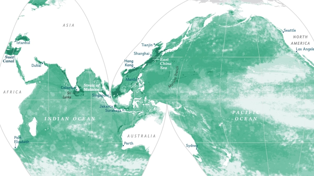 See Human Impact in an X-Ray of the Ocean | National Geographic