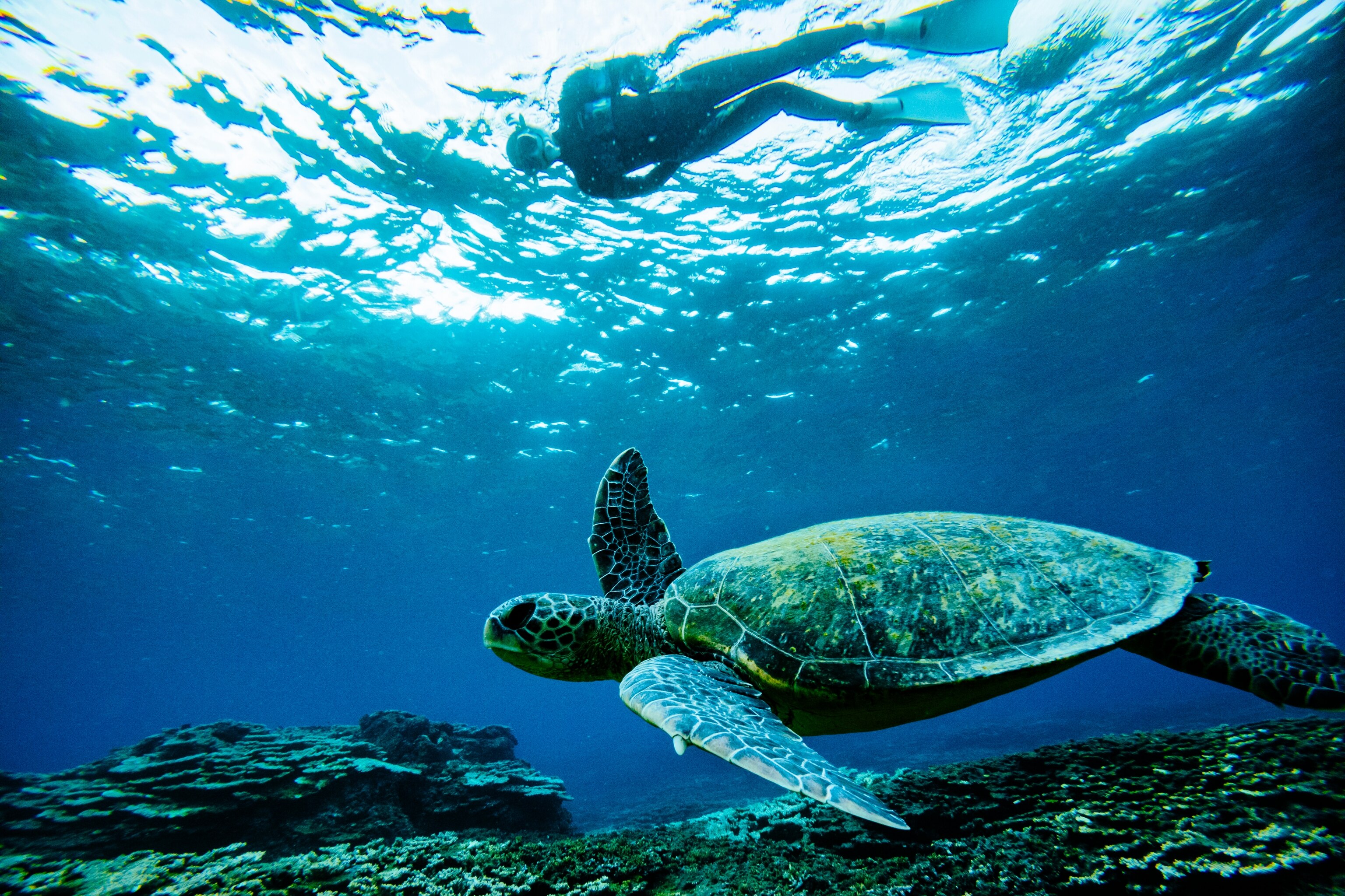 Adventures in Japan’s great outdoors