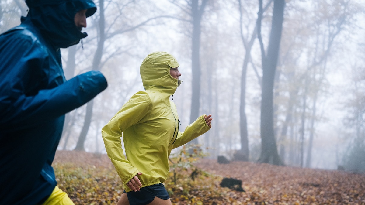 Chelsey Cook - Journalist Profile - Intelligent Relations