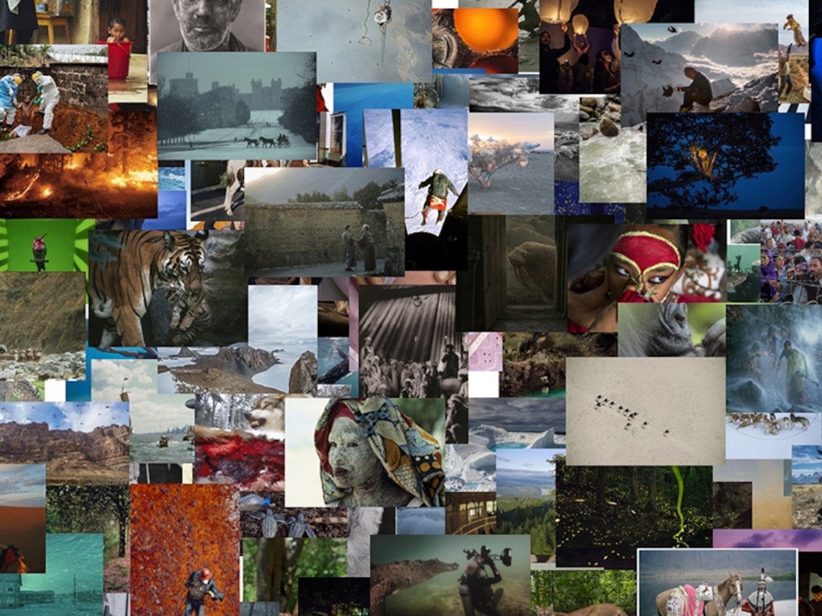 Are you better than AI at guessing what makes a photo memorable ...