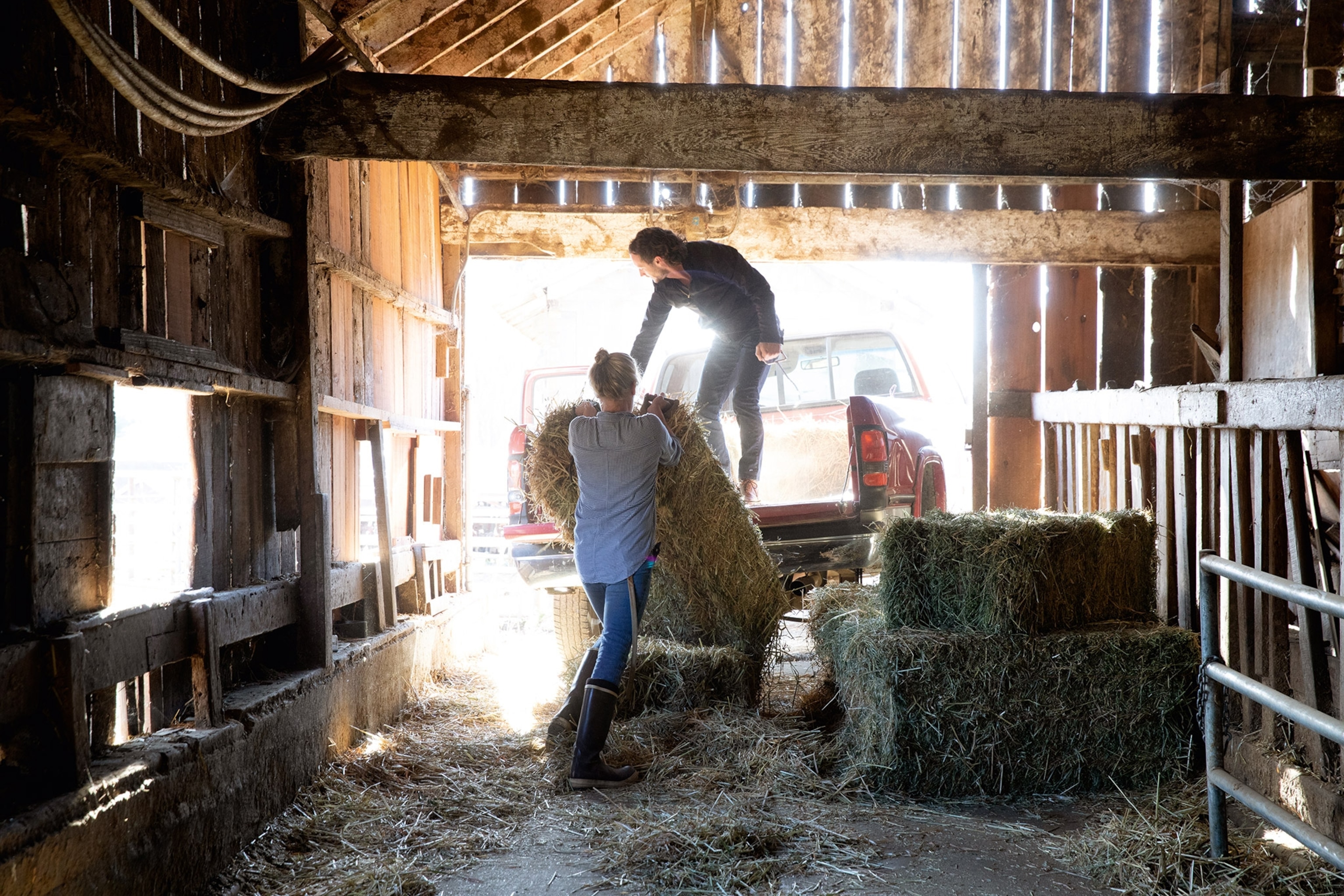 How California’s cheese trail avoided a meltdown