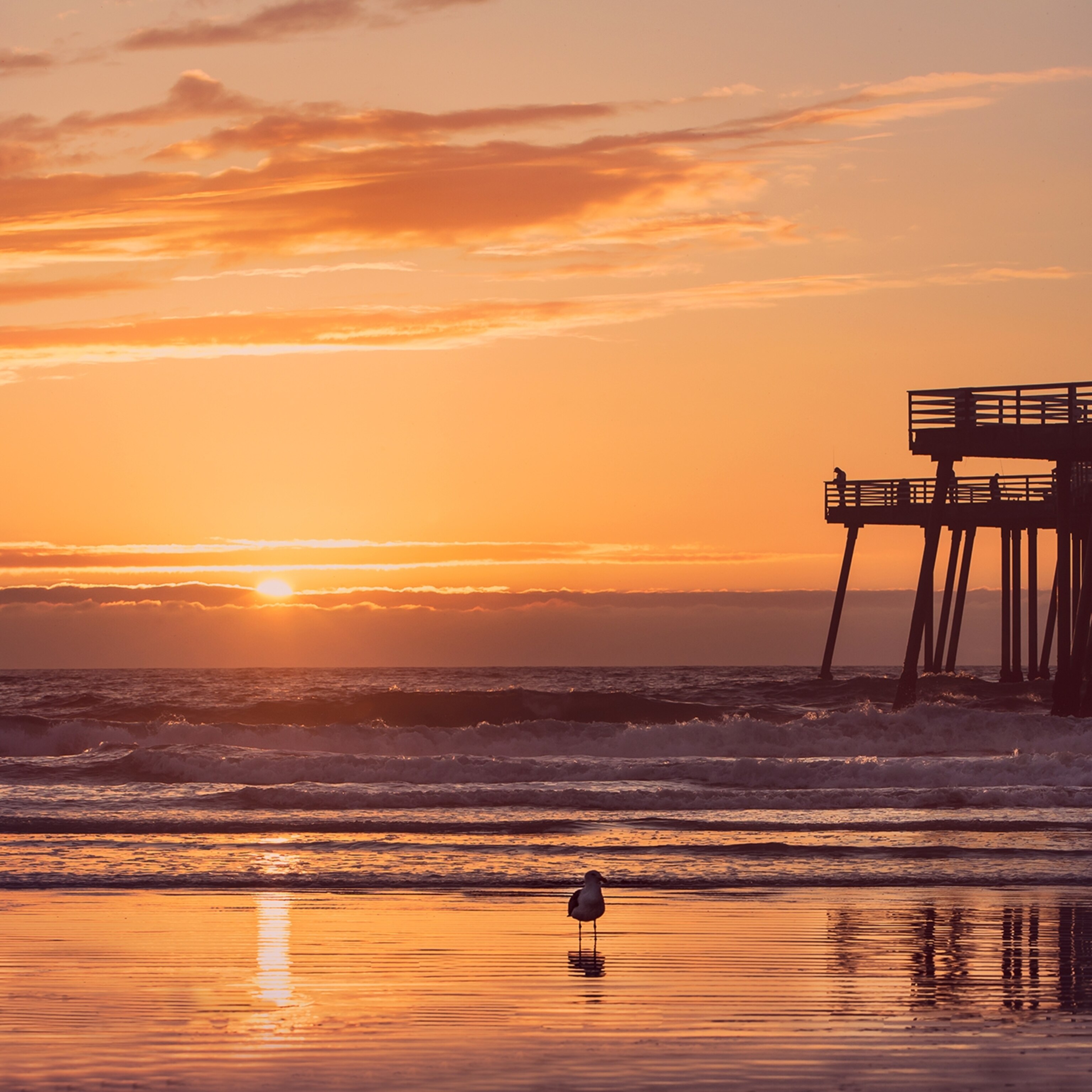 Home & Living Prints Wall Hangings Pismo Pier Pismo Beach Wall Art ...