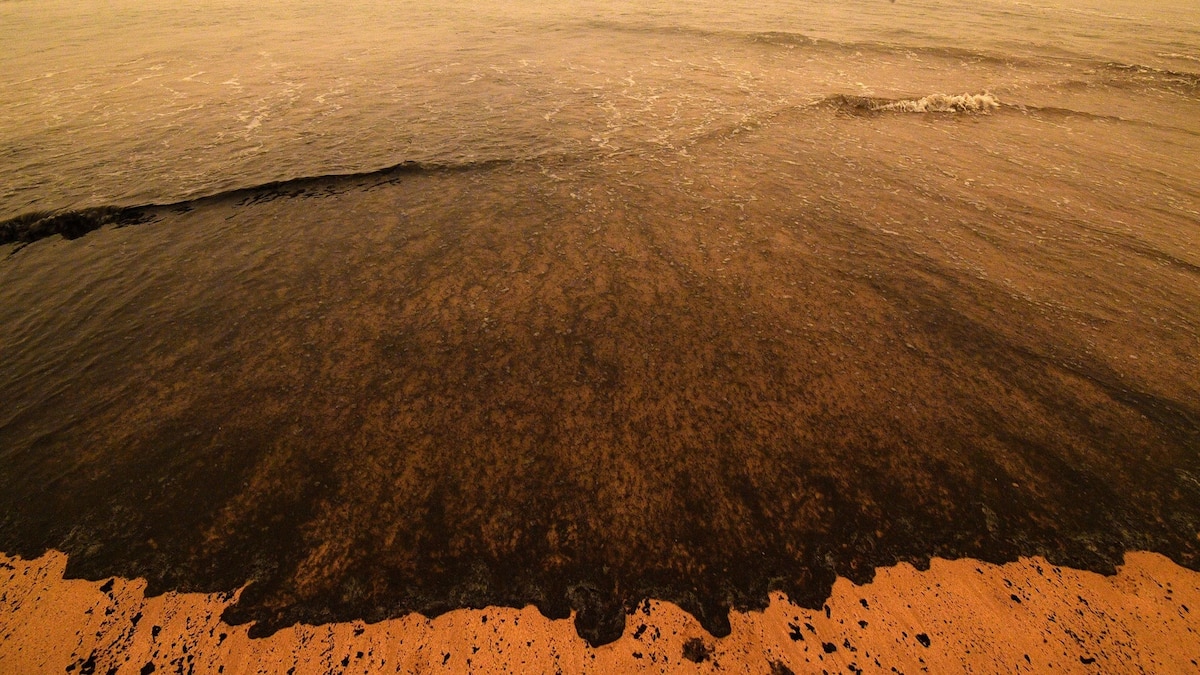 Australia's wildfires will create big problems for fresh water ...