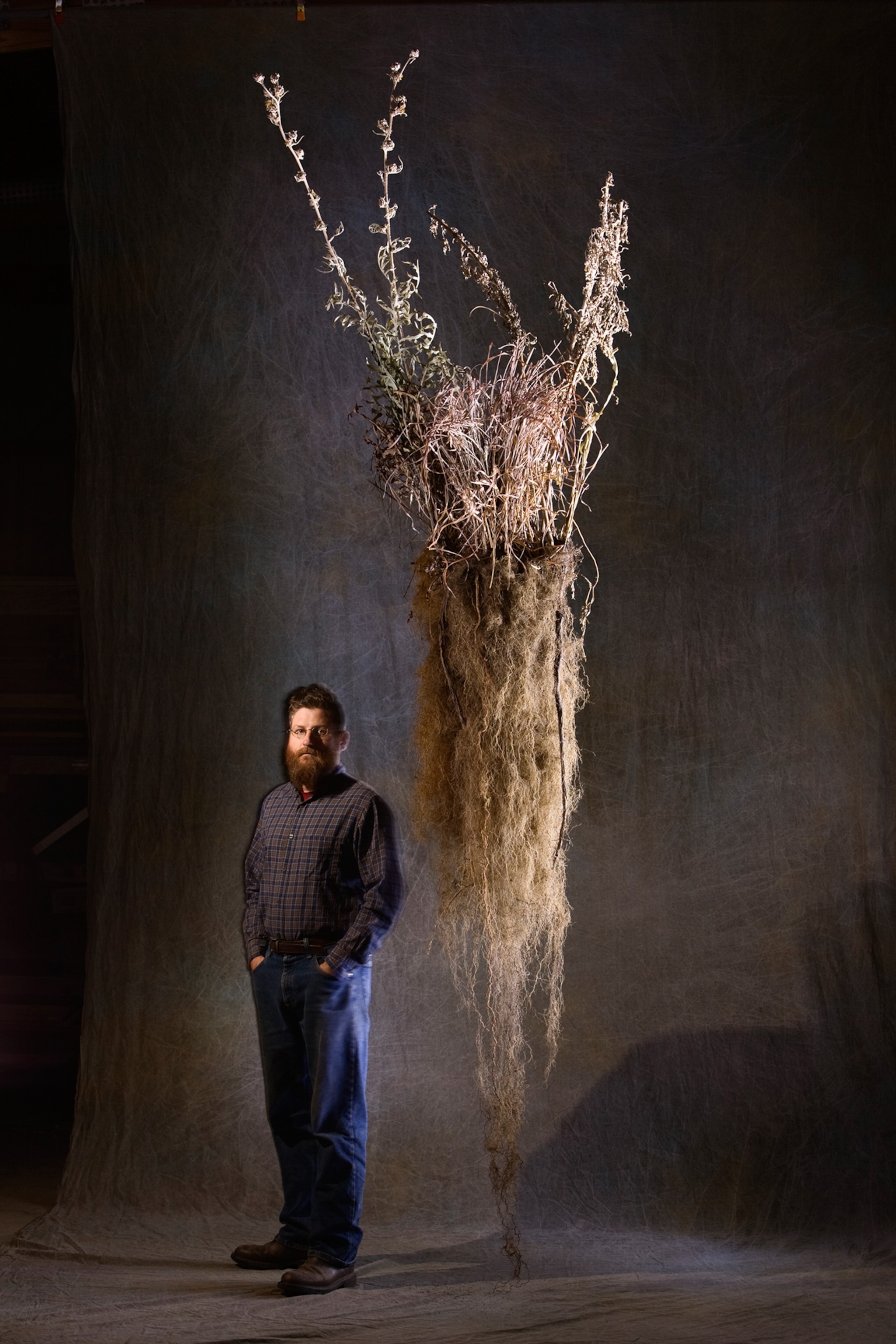 Digging Deep Reveals the Intricate World of Roots