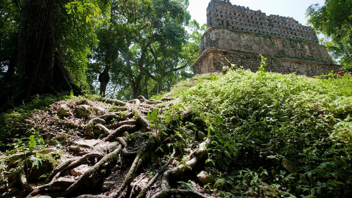 Exploring the temples and traditions of Chiapas, Mexico's Maya ...