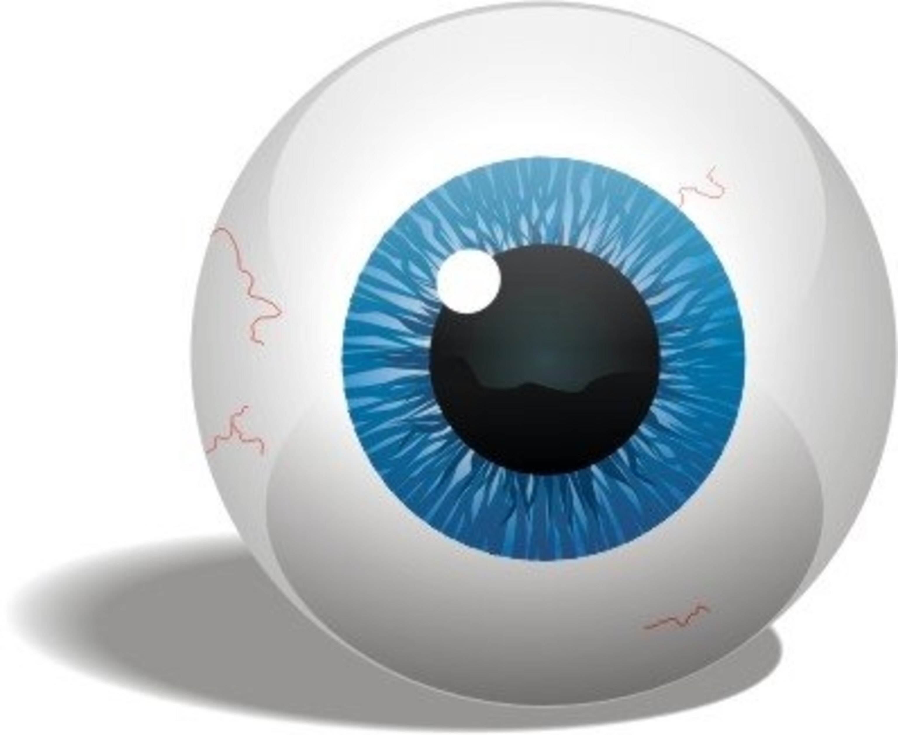 A swimming eyeball? | National Geographic