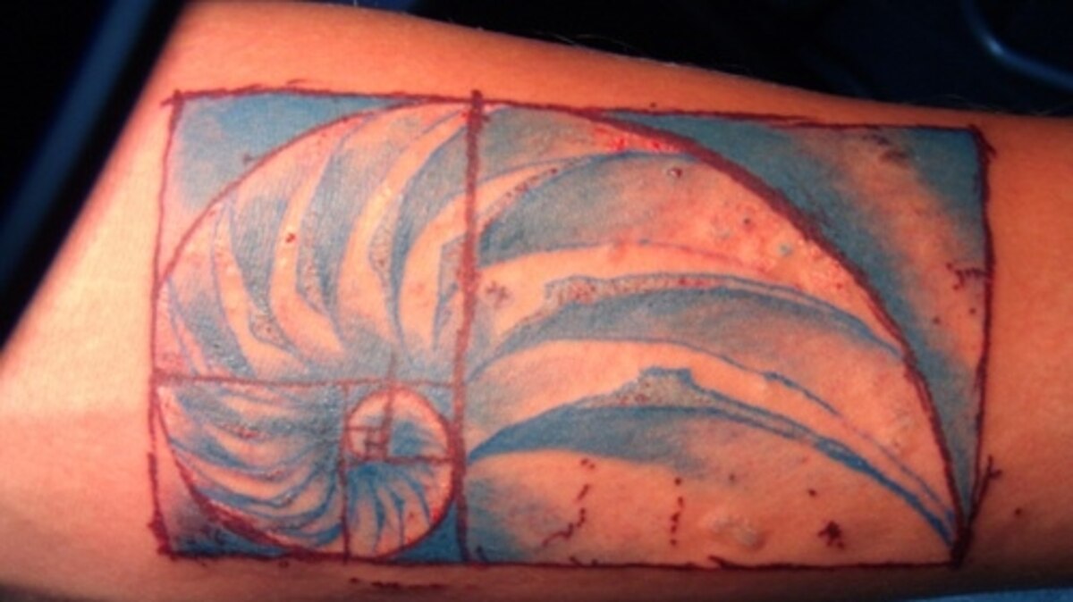 Golden Spiral Shell | National Geographic