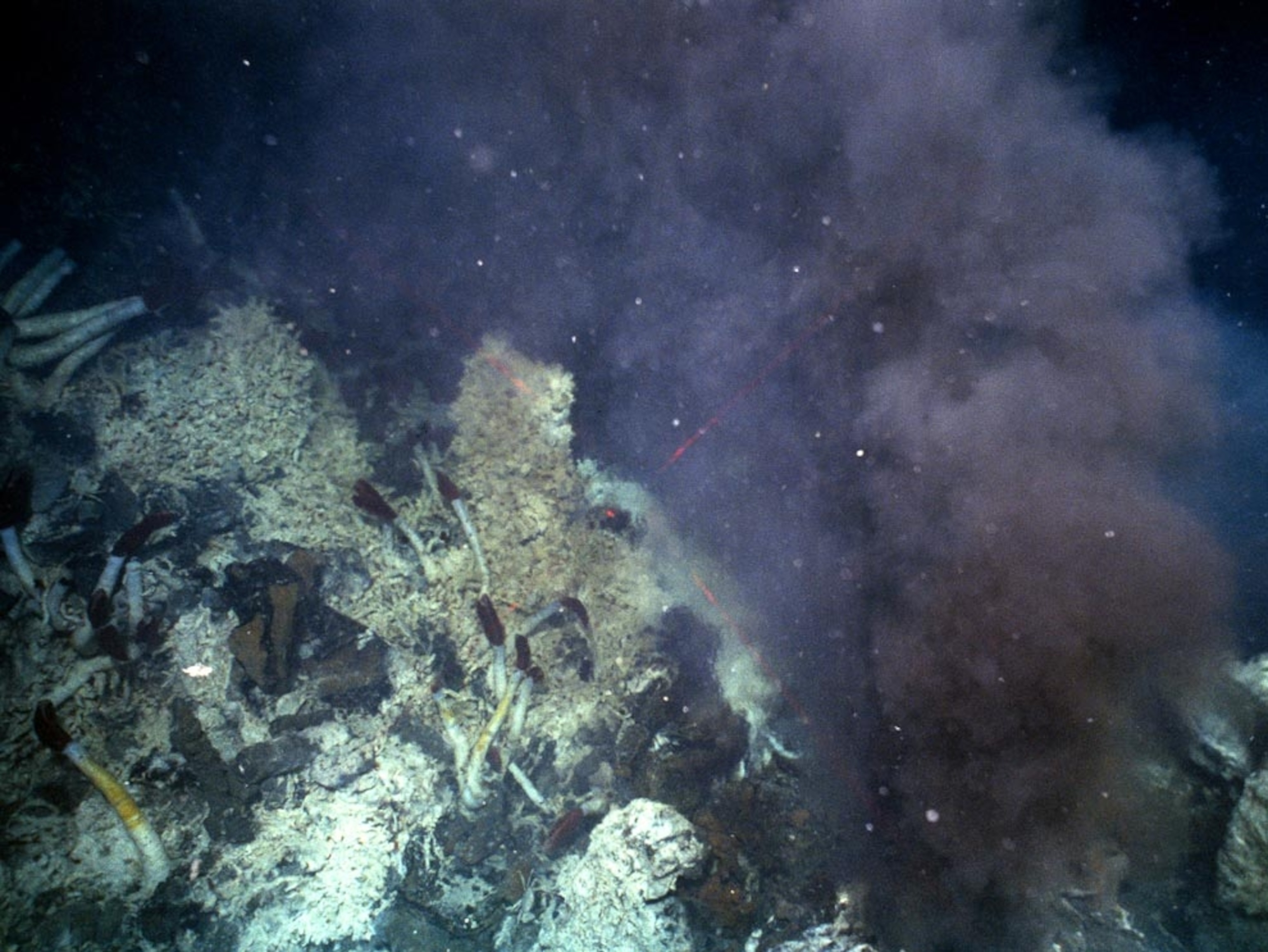 Earth's inner core is doing something weird