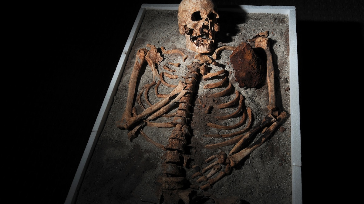 Pictures: Toothless "Vampire" Skeleton Unearthed in Bulgaria | National ...