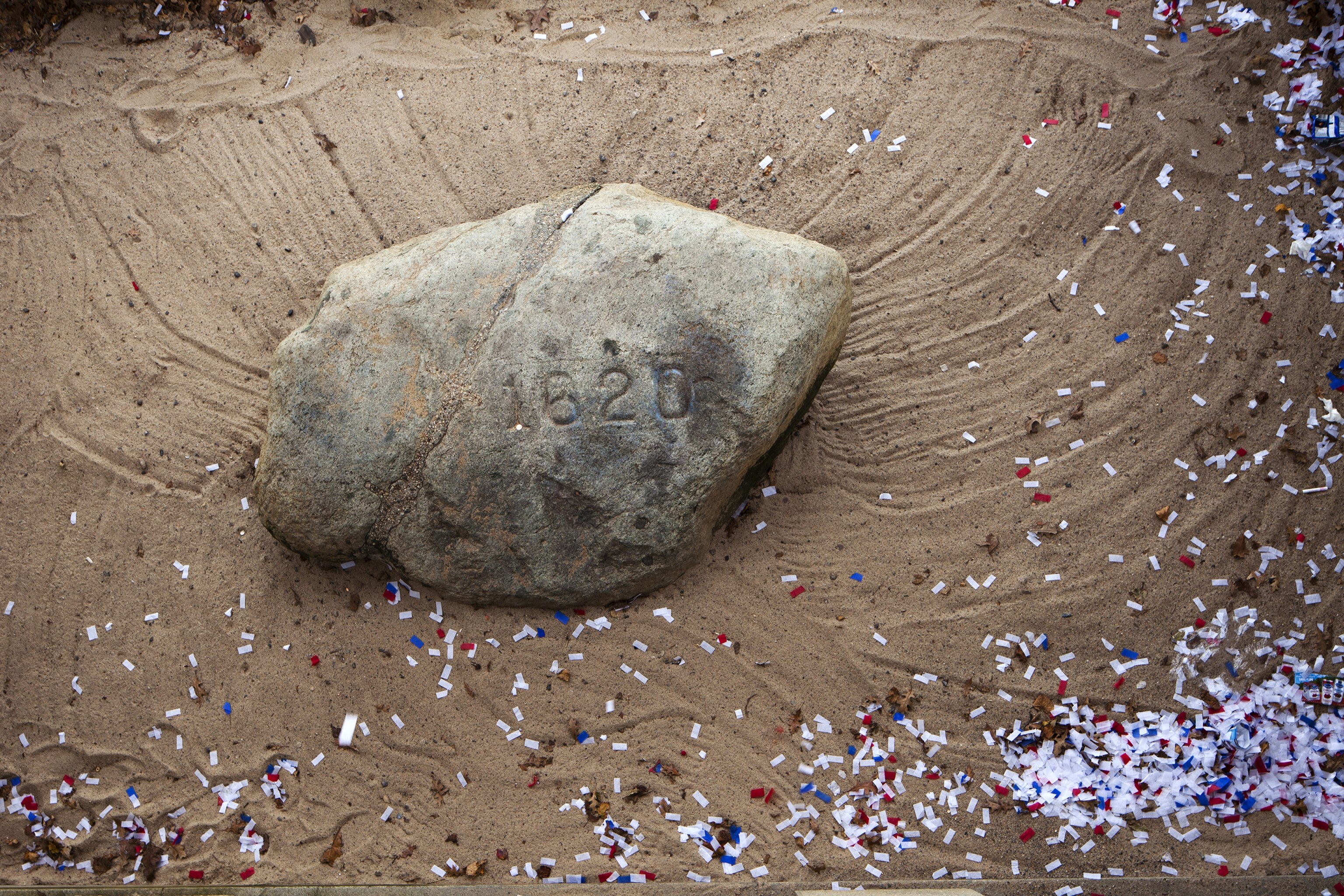 Pet Rocks | National Geographic