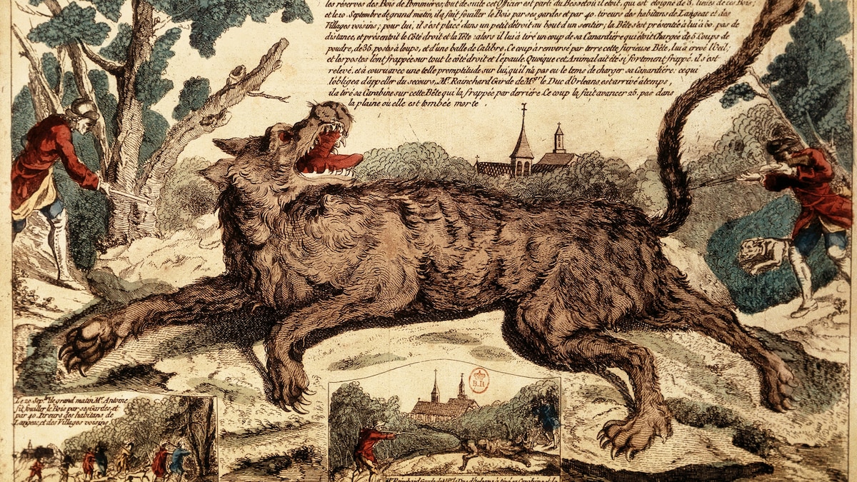 Did a 'werewolf' really terrorize France in the 1700s? | National ...