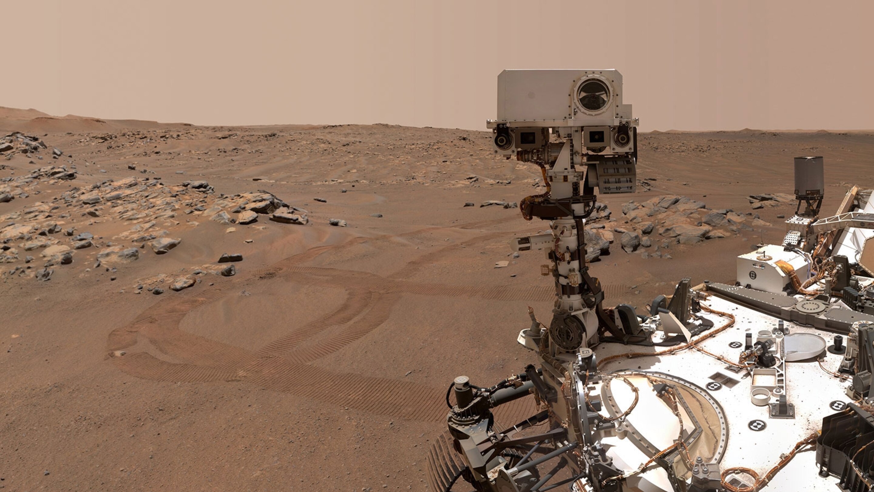 Animals Fossils Of Mars Surfaces
