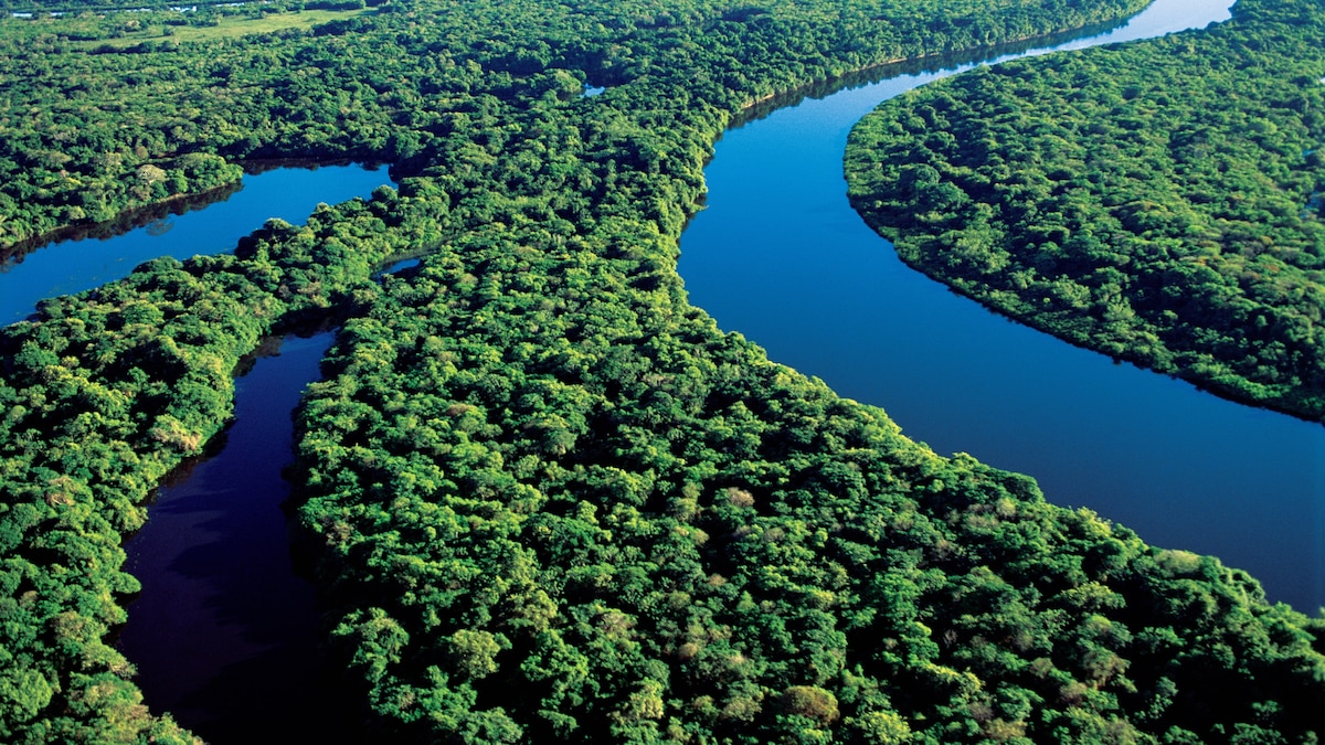 Loreto and Amazonas: a gateway (and getaway) into Peru’s natural world ...