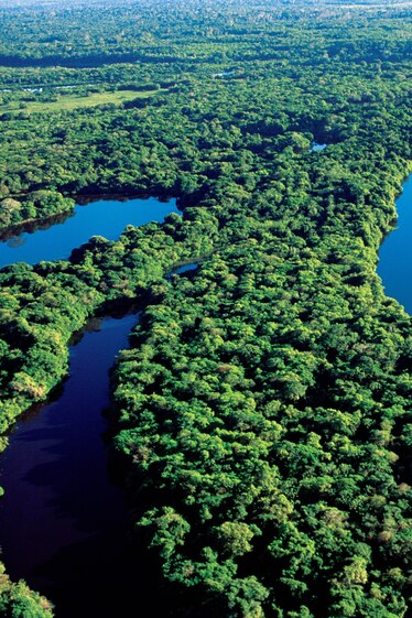Loreto and Amazonas: a gateway (and getaway) into Peru’s natural world