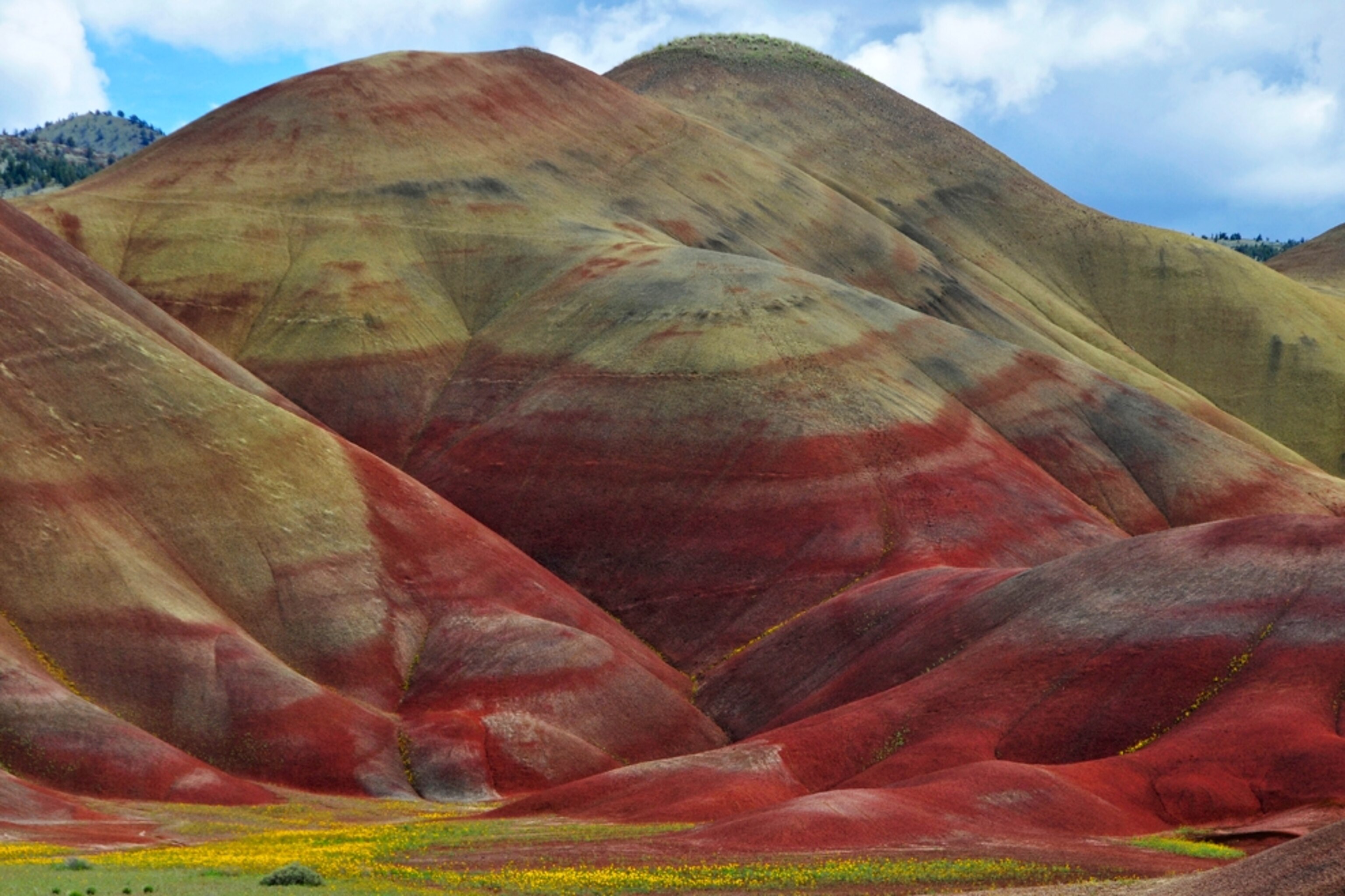 Spring Photos | National Geographic