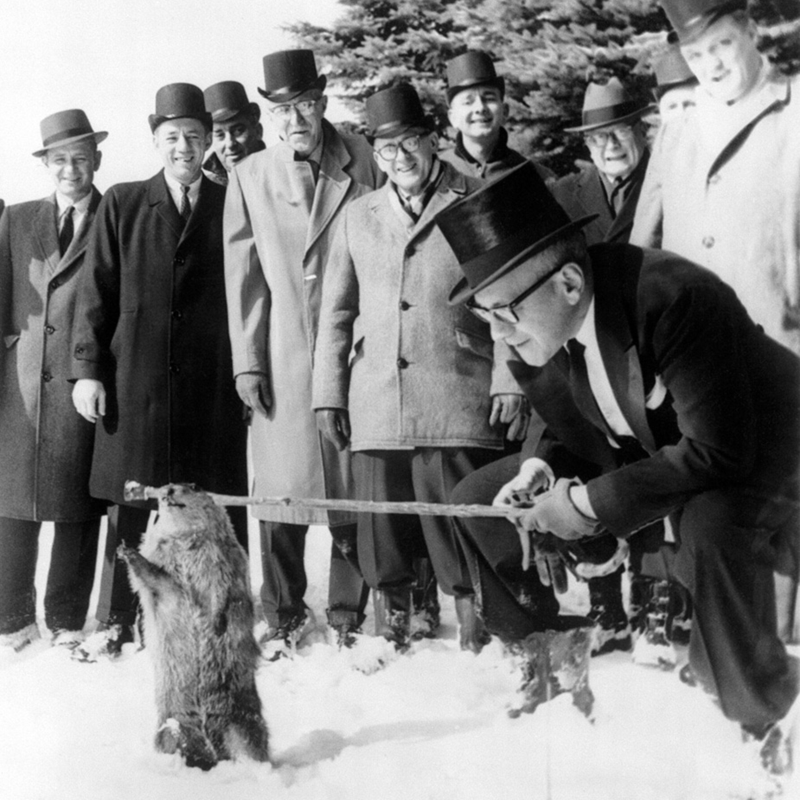 Groundhog Day Pictures: Punxsutawney Phil, Now and Then