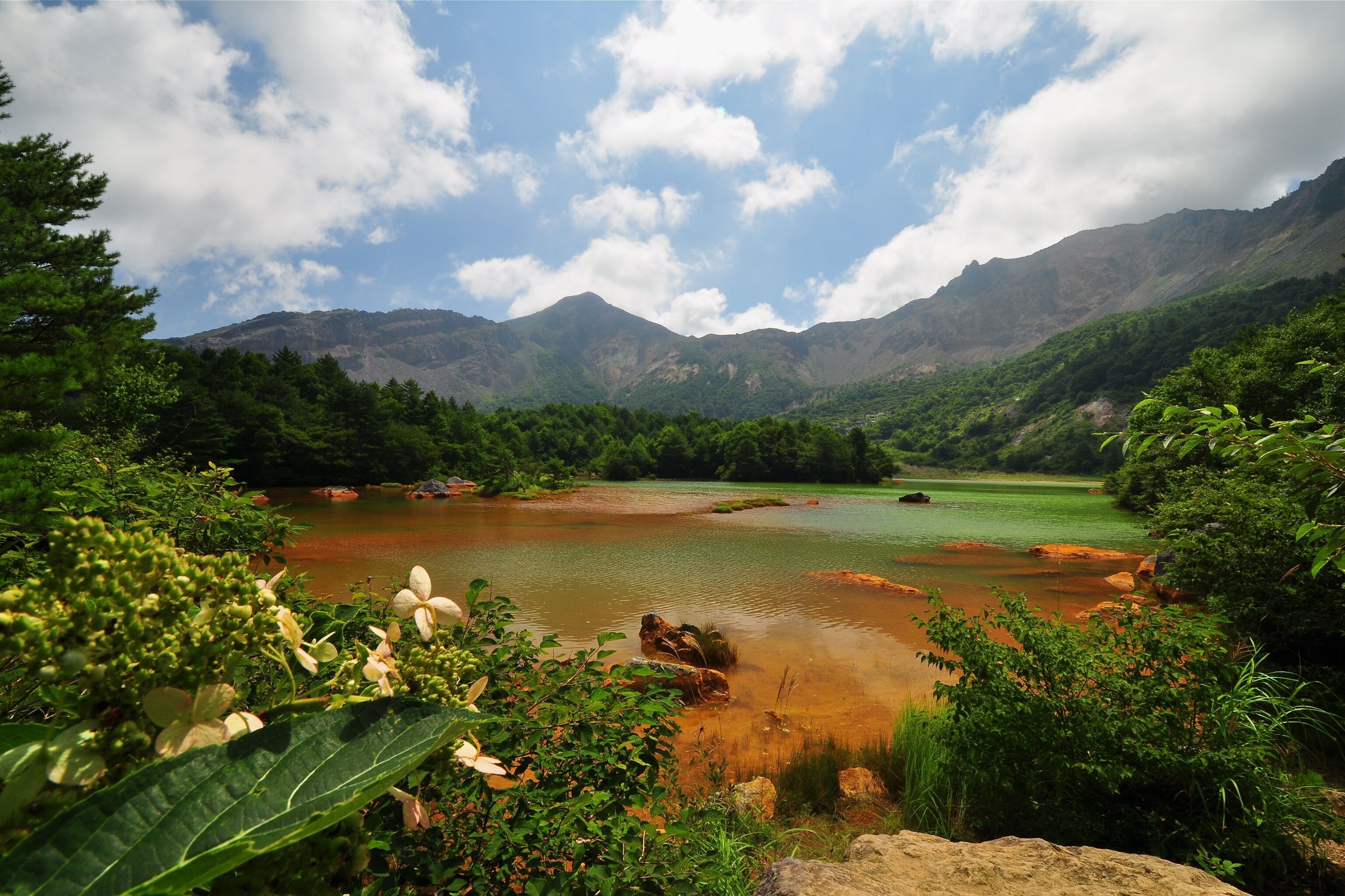 Your Japan Photos -- National Geographic Travel