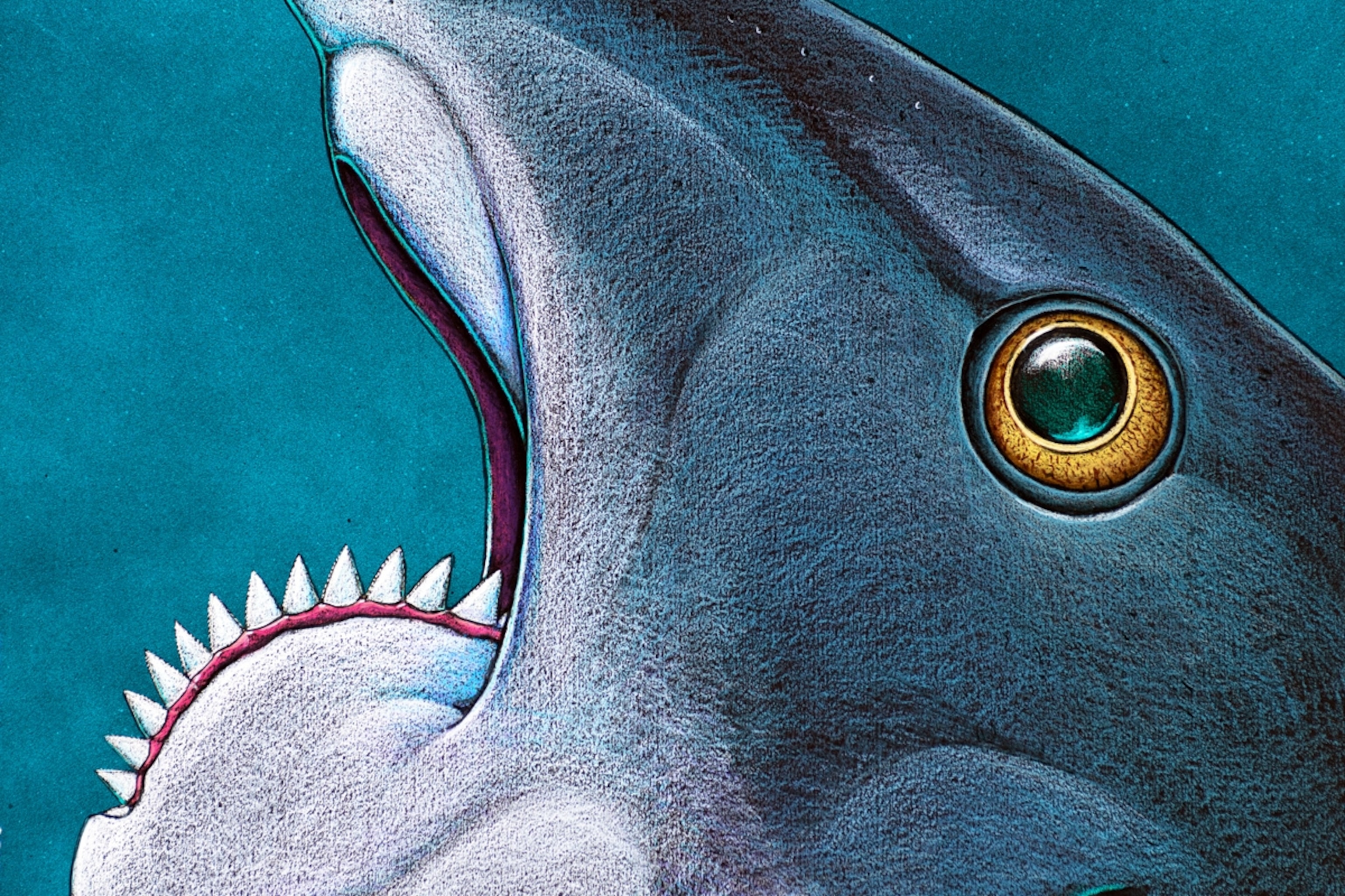 Prehistoric Shark