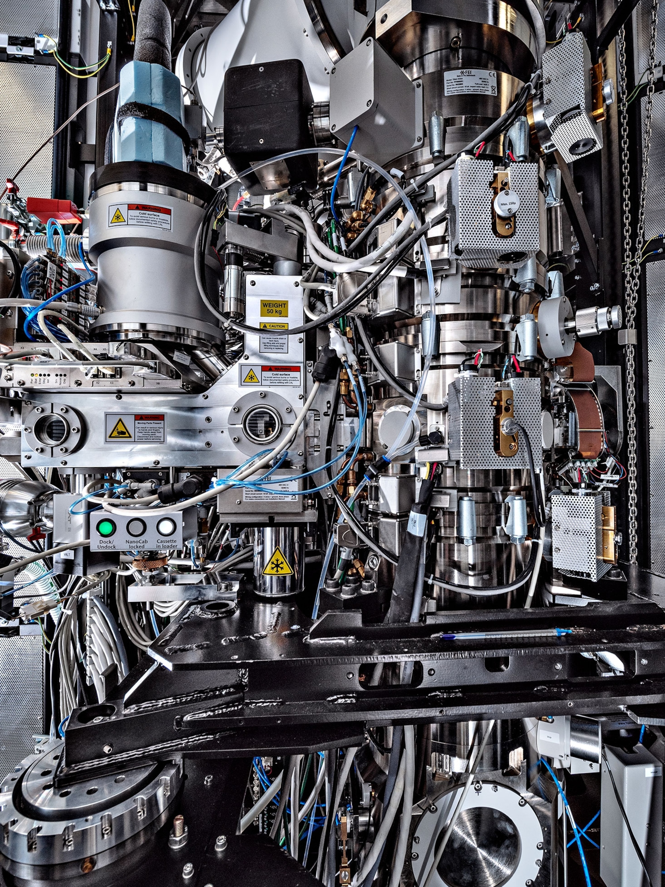 How viruses shape our world