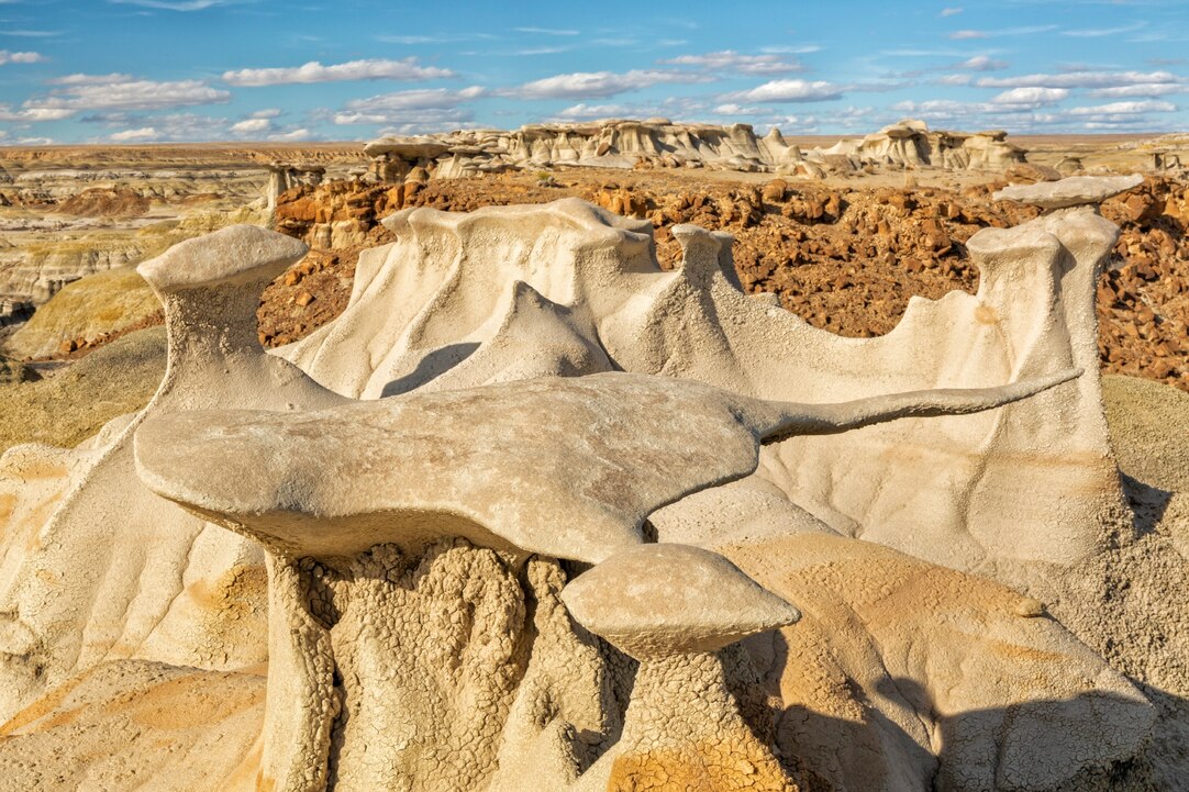 Are Dogs Allowed In Bisti Wilderness