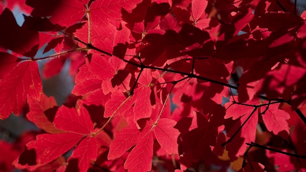 14 Favorite Fall Destinations | National Geographic