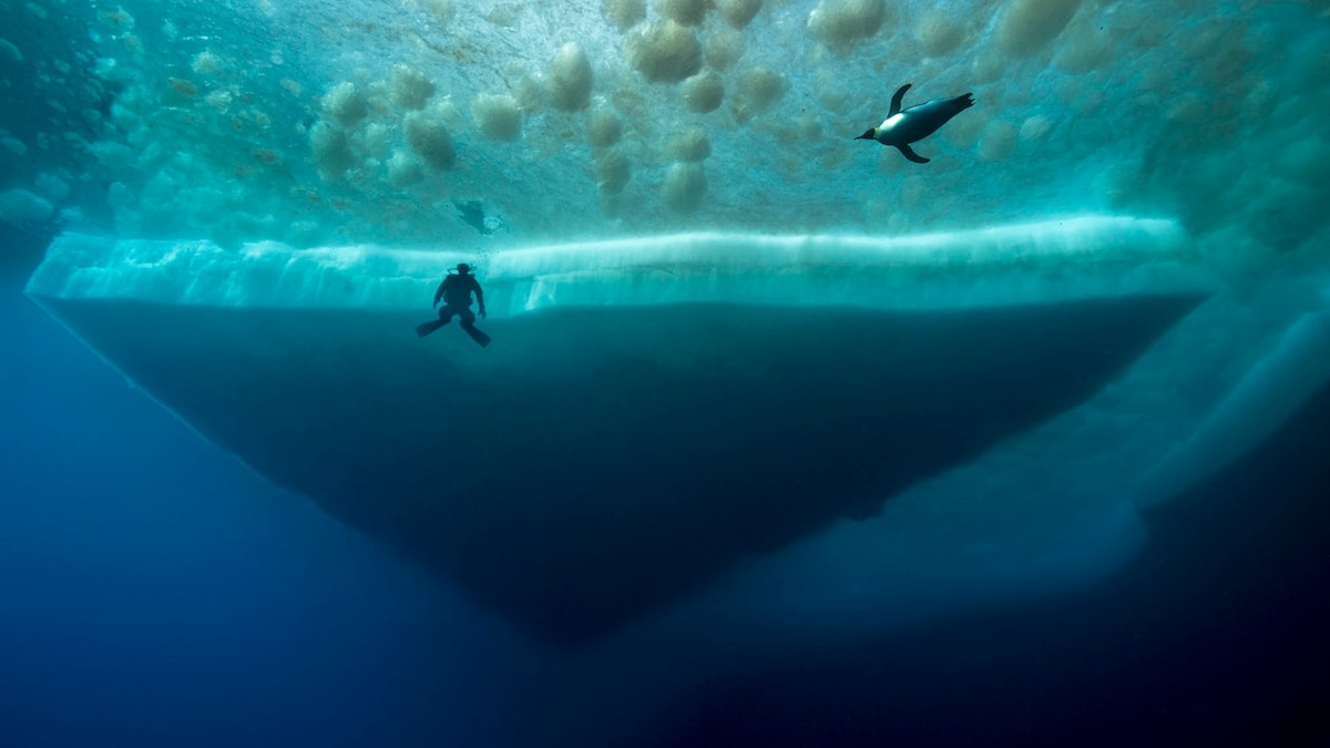 Behind the Scenes Photos of Under Antarctica | National Geographic