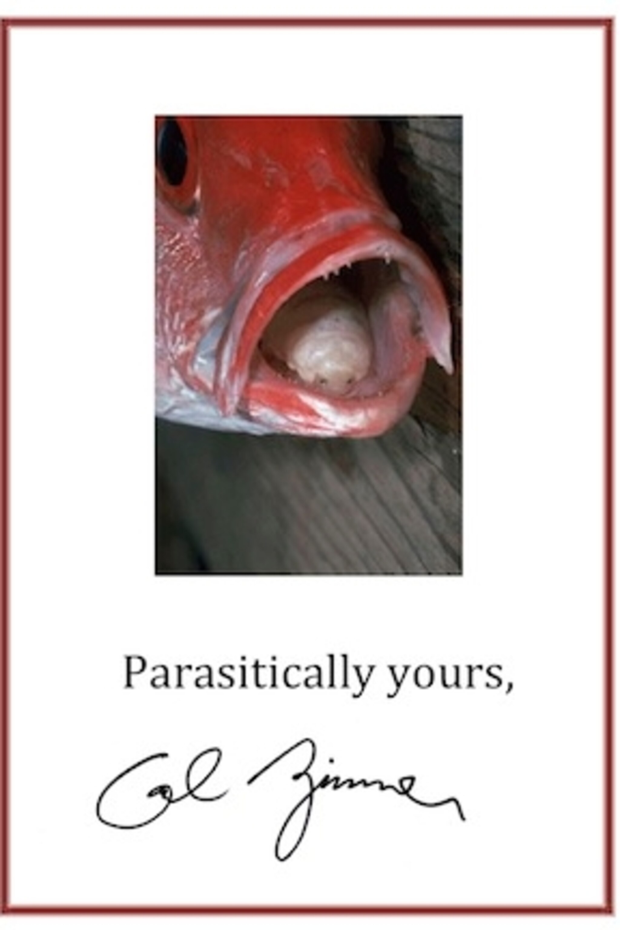 Parasite Rex Redux: Now with a new epilogue