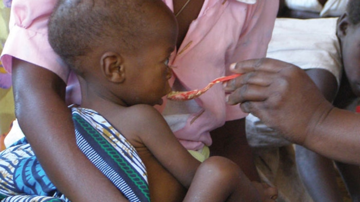 Fishing For the Microbes Behind Malnutrition | National Geographic