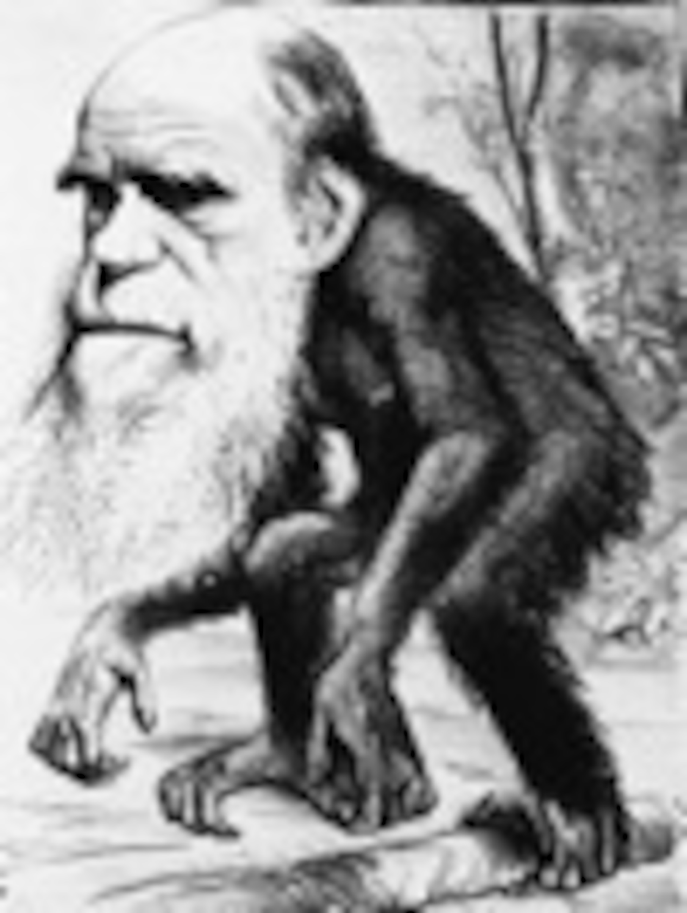 Darwin Day Festivities