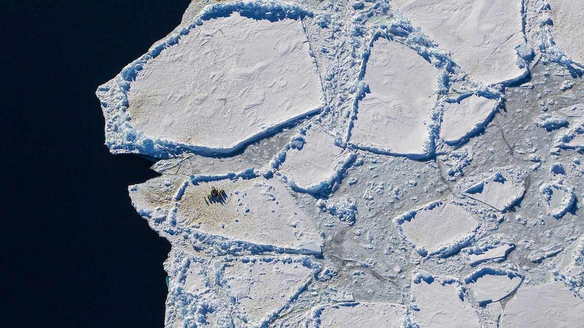Scientists Are Watching in Horror as Ice Collapses | National Geographic