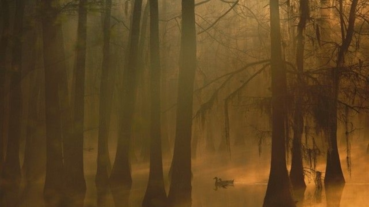 Louisiana: Hoodoo & voodoo, ghosts & graves | National Geographic