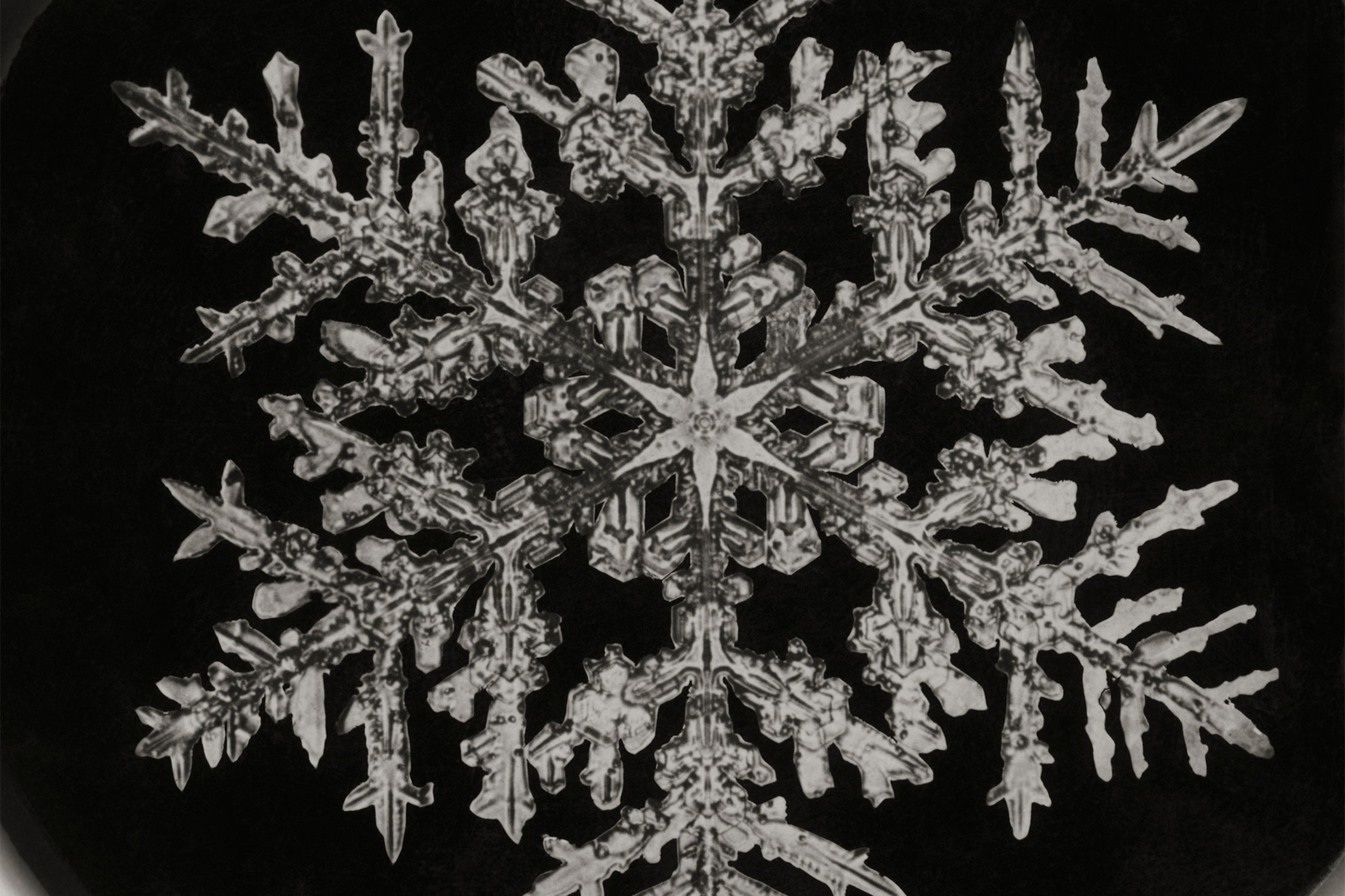 Snowflake Pictures Bentley