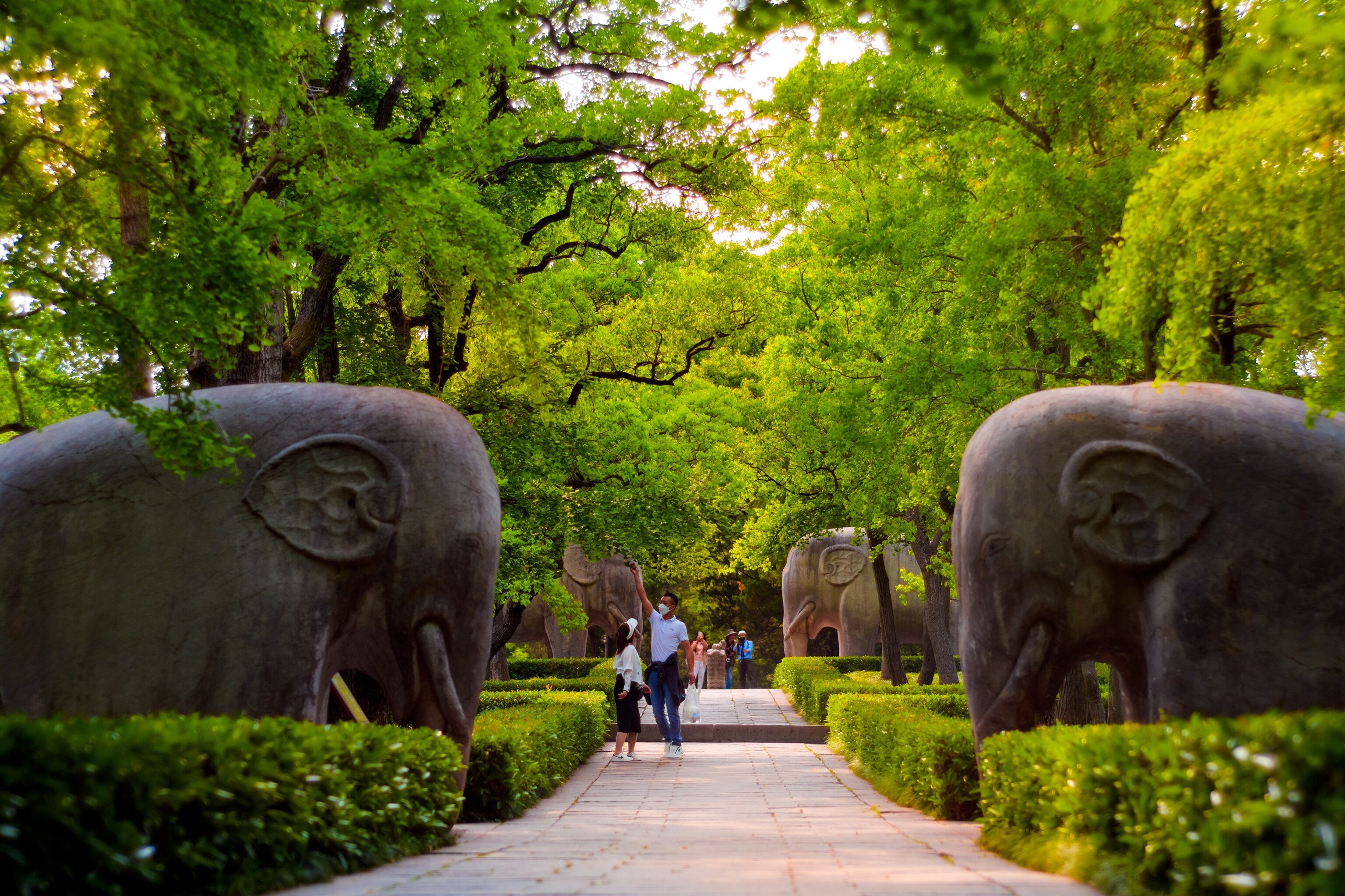 Discover Jiangsu: ancient gateway to the Maritime Silk Road