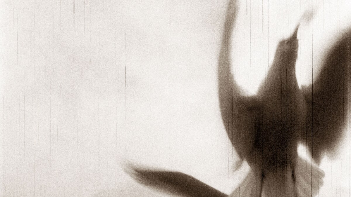 The Story of Flight Told in One Roll of Film | National Geographic